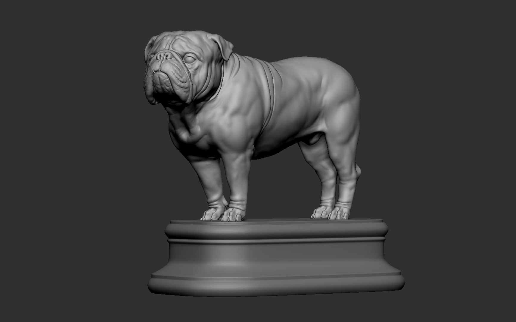English Bulldog 3D Model - TurboSquid 2036534