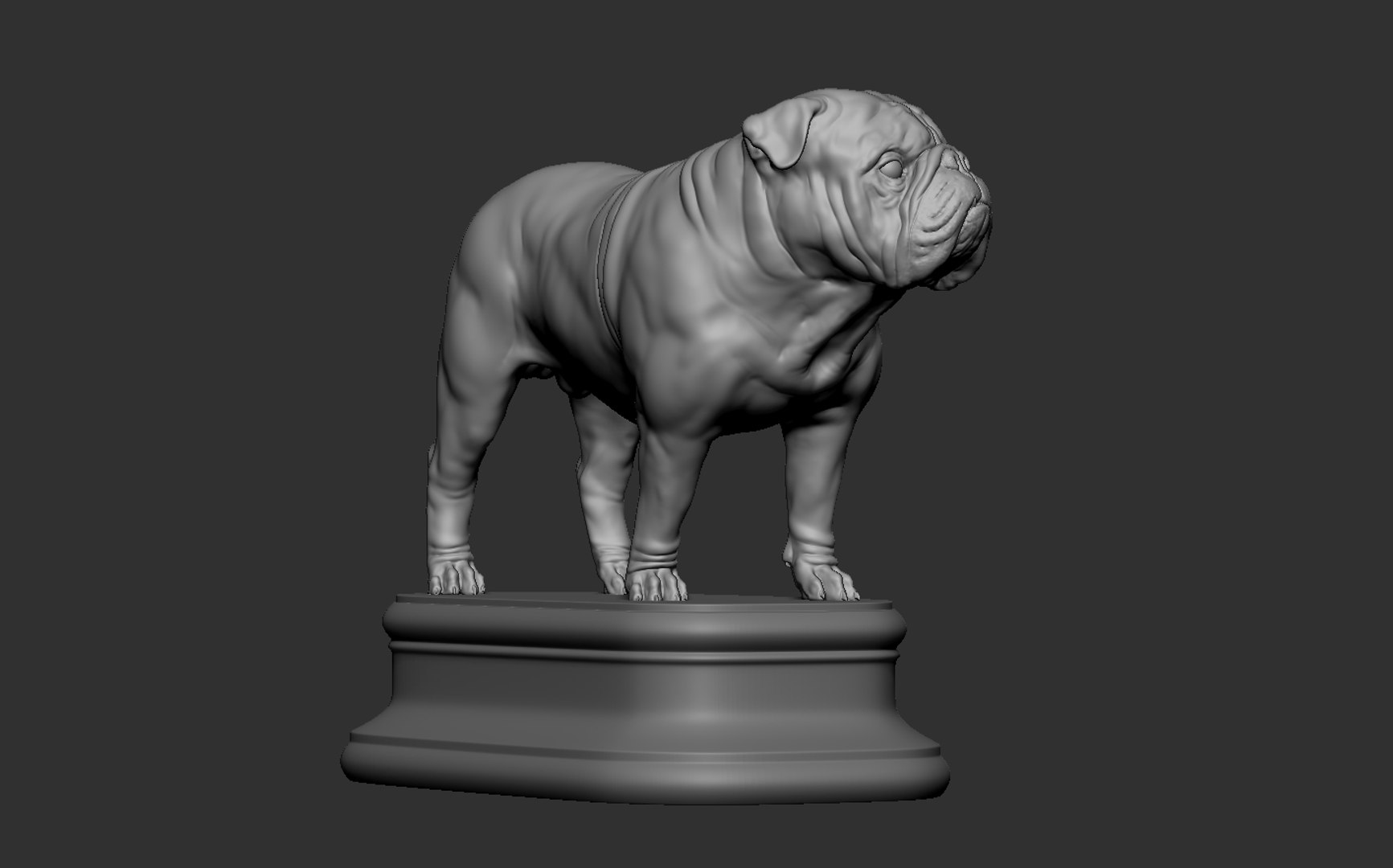 English Bulldog 3D Model - TurboSquid 2036534