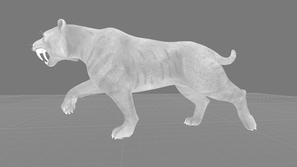 Realistic Sabre-Toothed Cat Tiger 3D model - TurboSquid 1989197