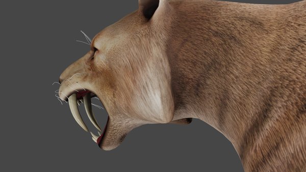 Realistic Sabre-Toothed Cat Tiger 3D model - TurboSquid 1989197