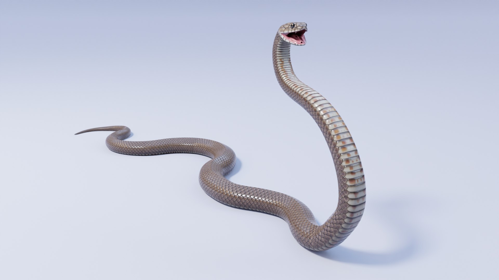 Eastern Brown Snake - Static Poses 3D Model - TurboSquid 2020568