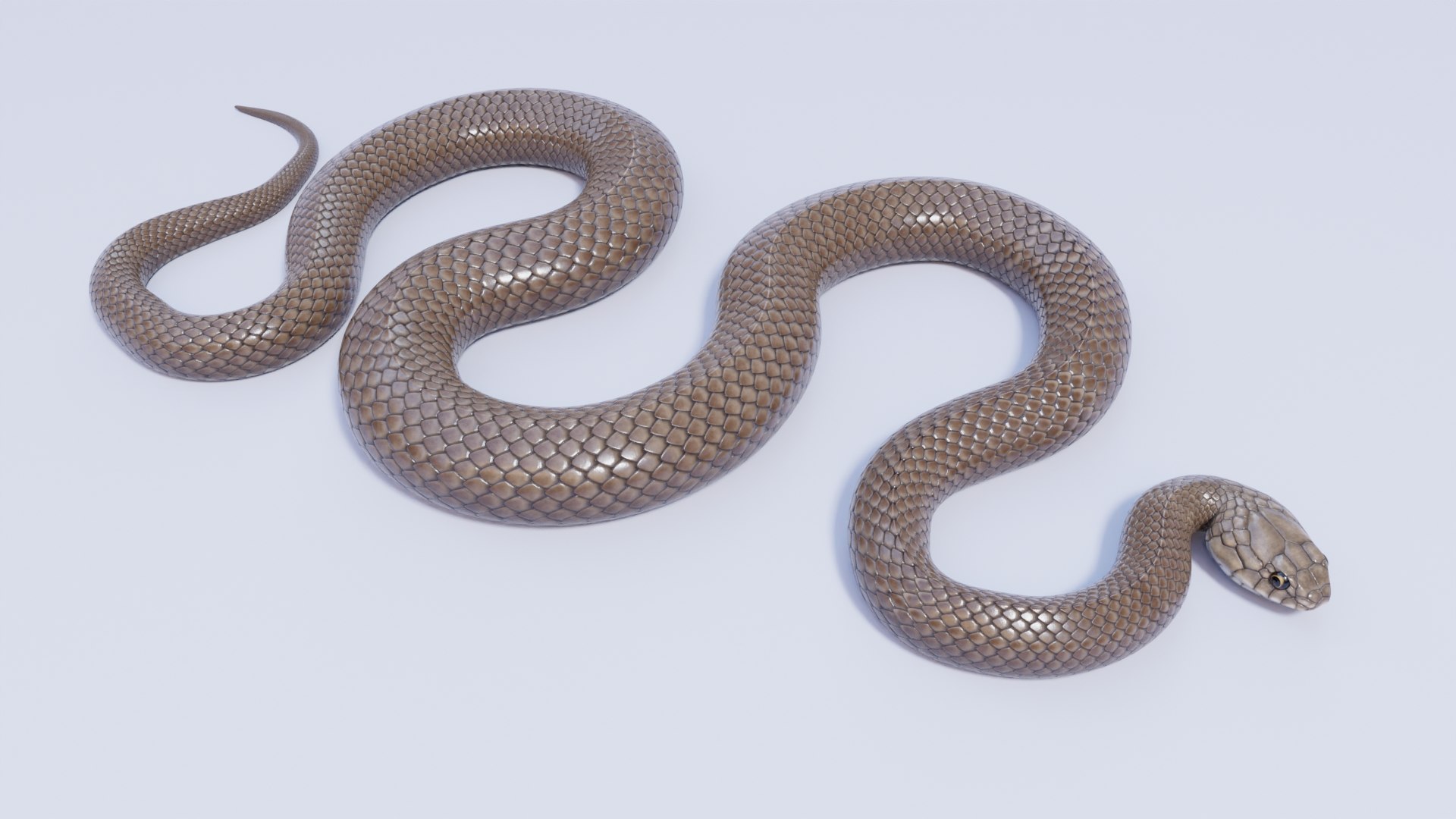 Eastern Brown Snake - Static Poses 3D Model - TurboSquid 2020568