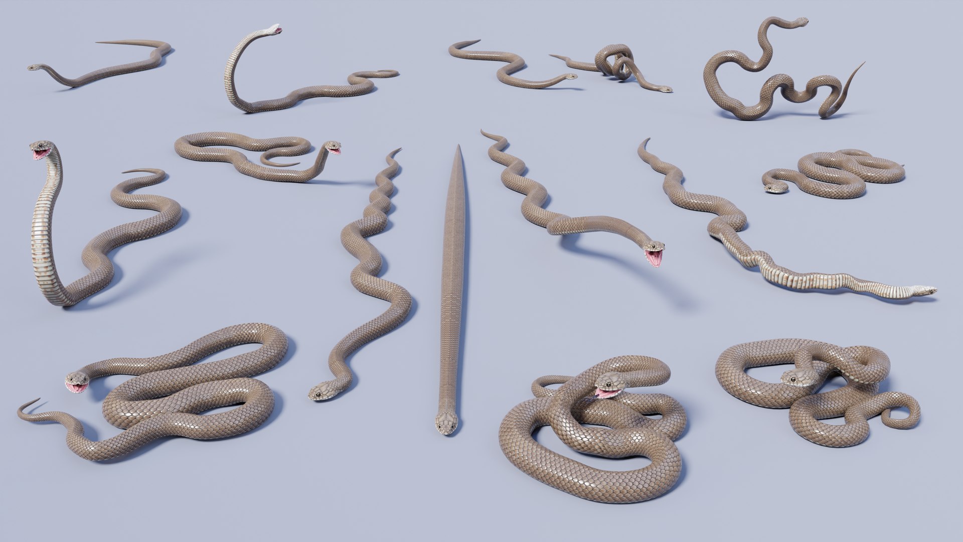 Eastern Brown Snake - Static Poses 3D Model - TurboSquid 2020568