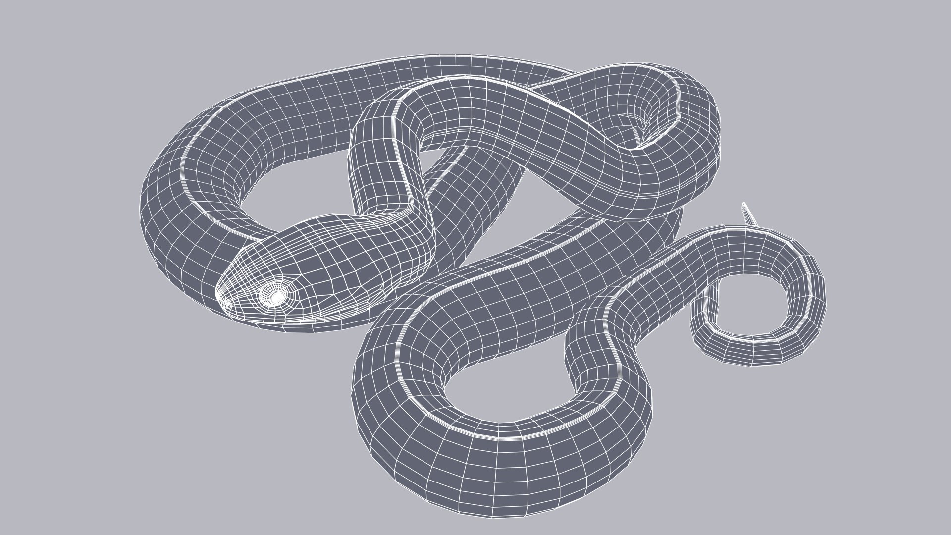 Eastern Brown Snake - Static Poses 3D Model - TurboSquid 2020568