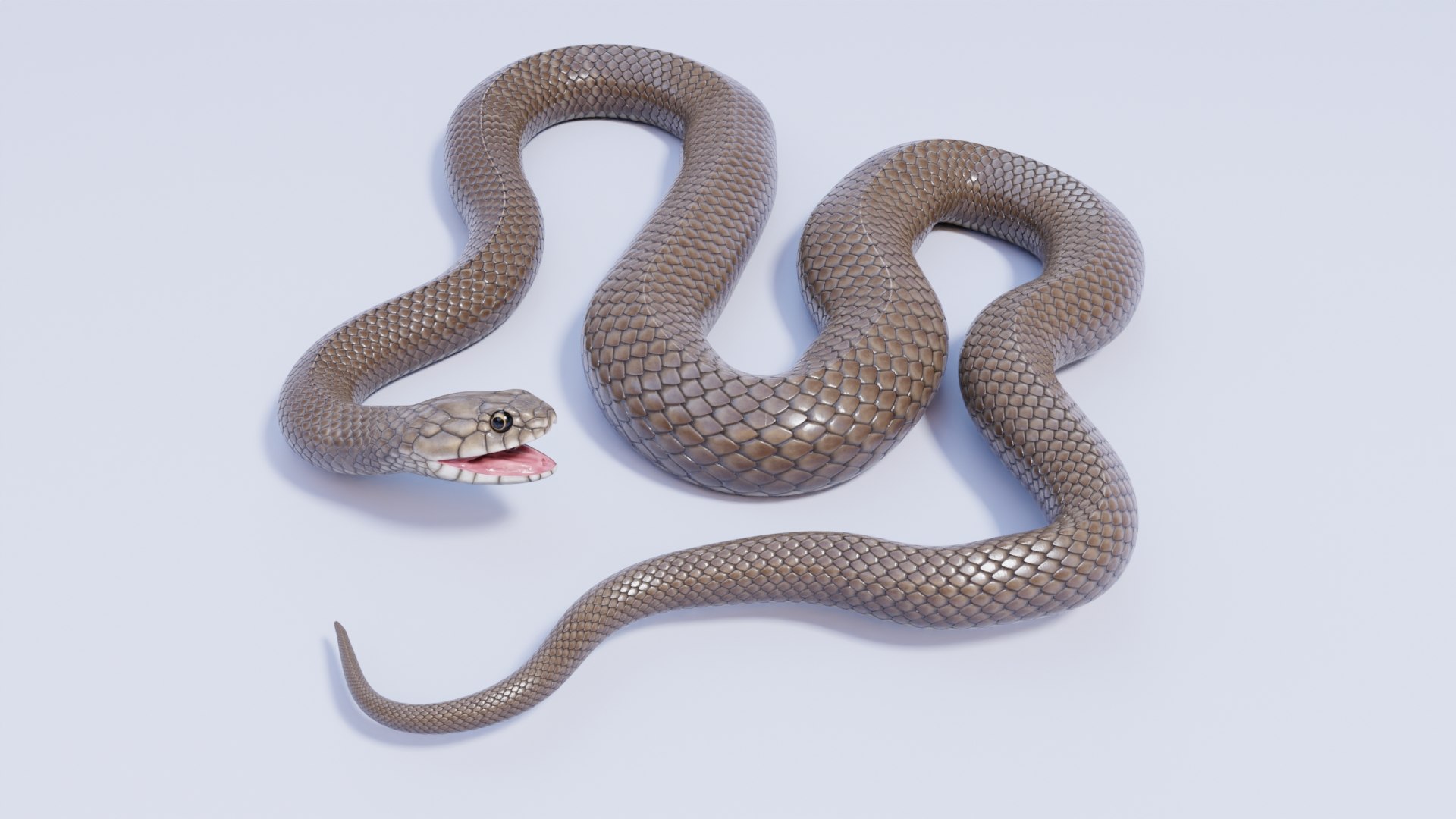 Eastern Brown Snake - Static Poses 3D Model - TurboSquid 2020568