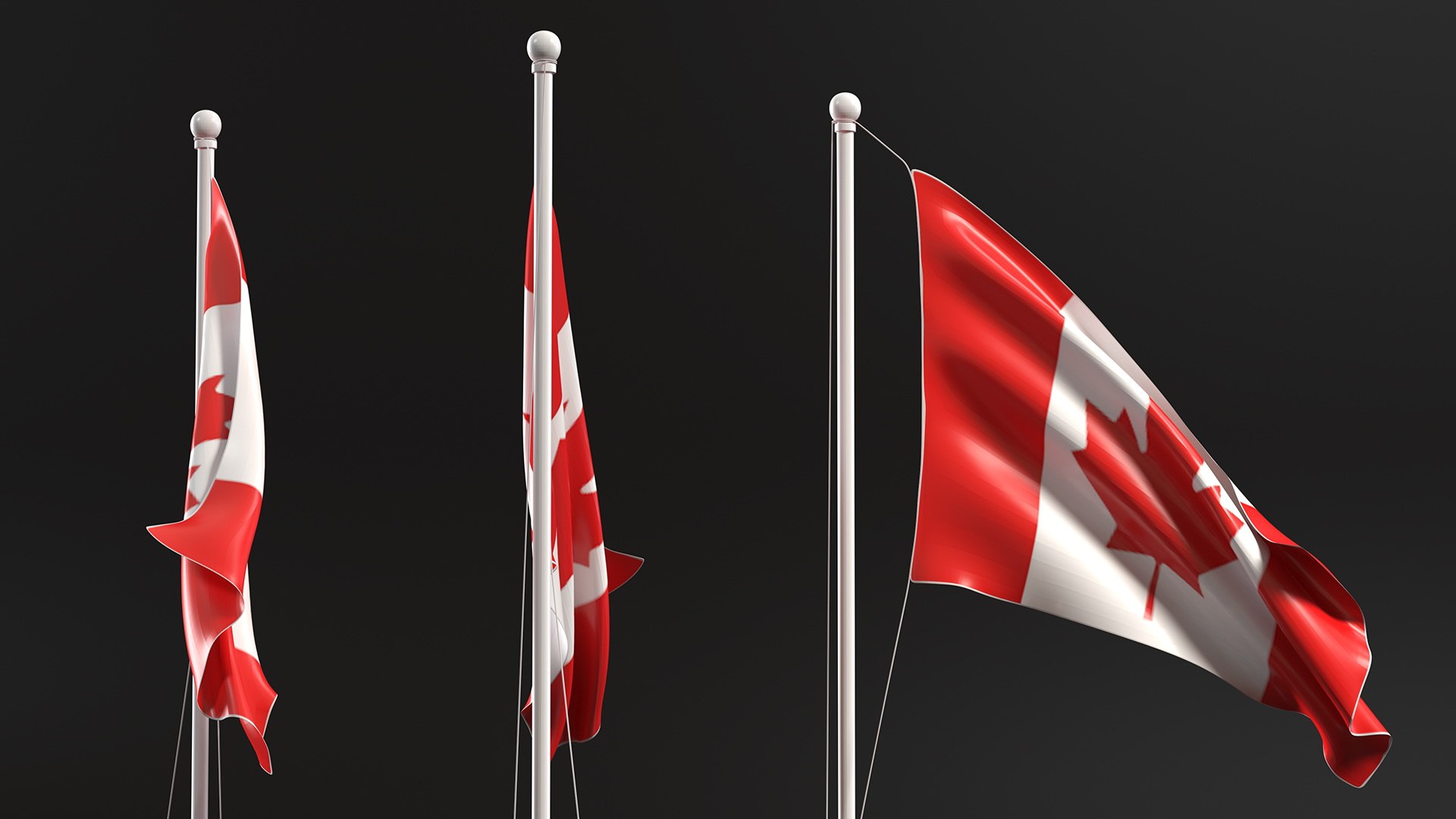 3D Canada Flag on Small Flagpole - TurboSquid 2020761