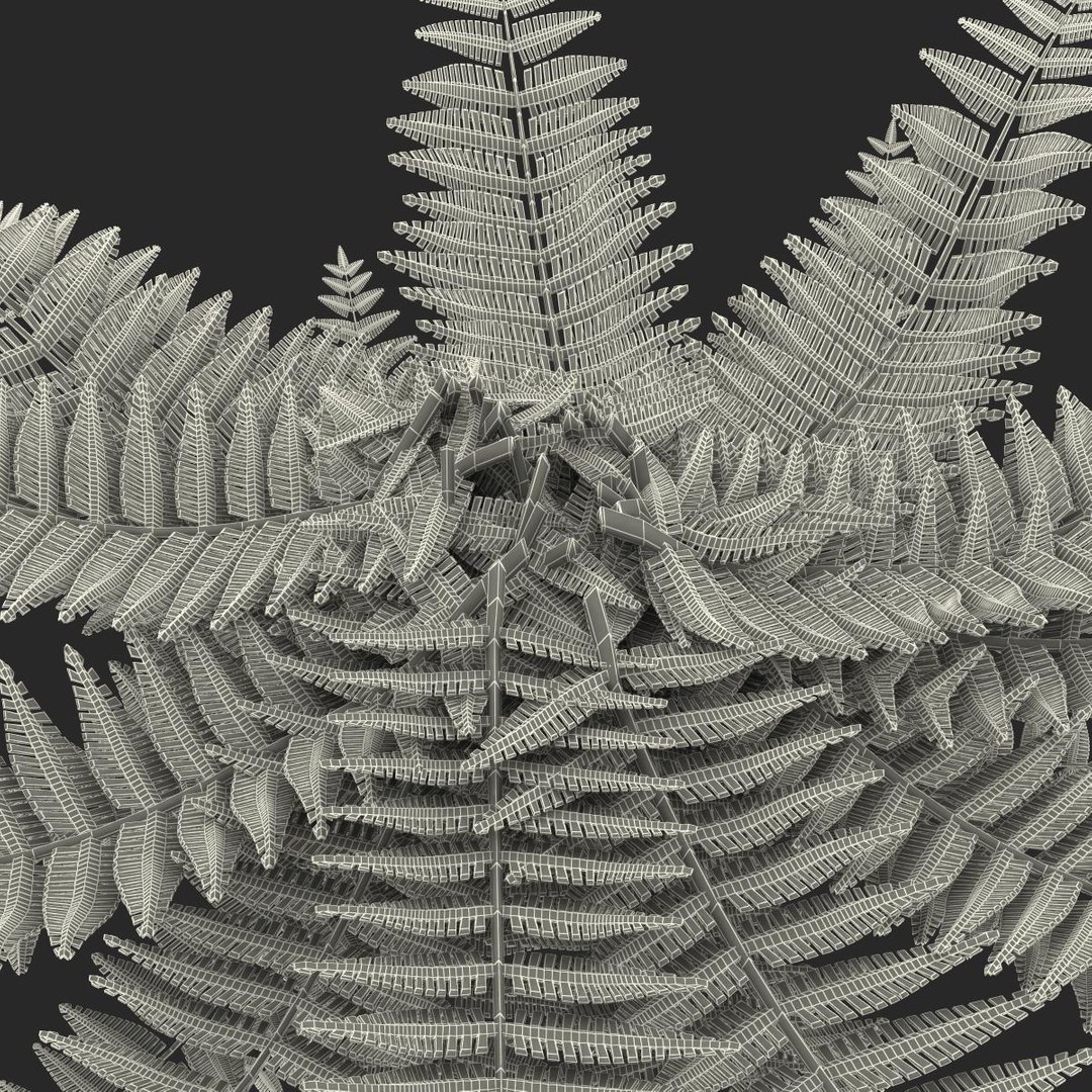Fern Realistic 3d Model