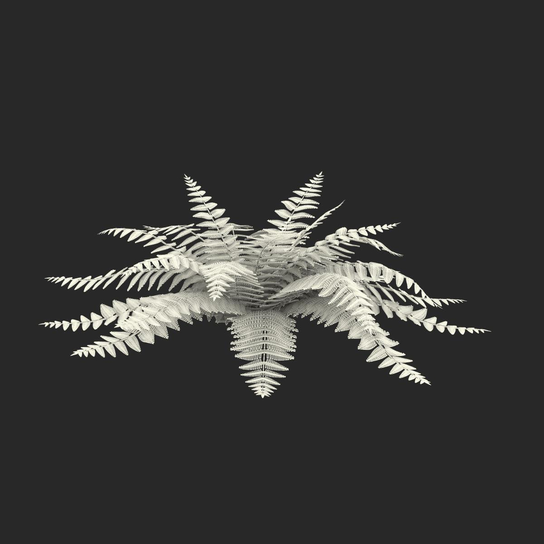 Fern Realistic 3d Model