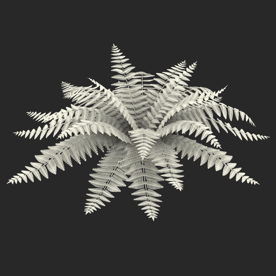 Fern Realistic 3d Model