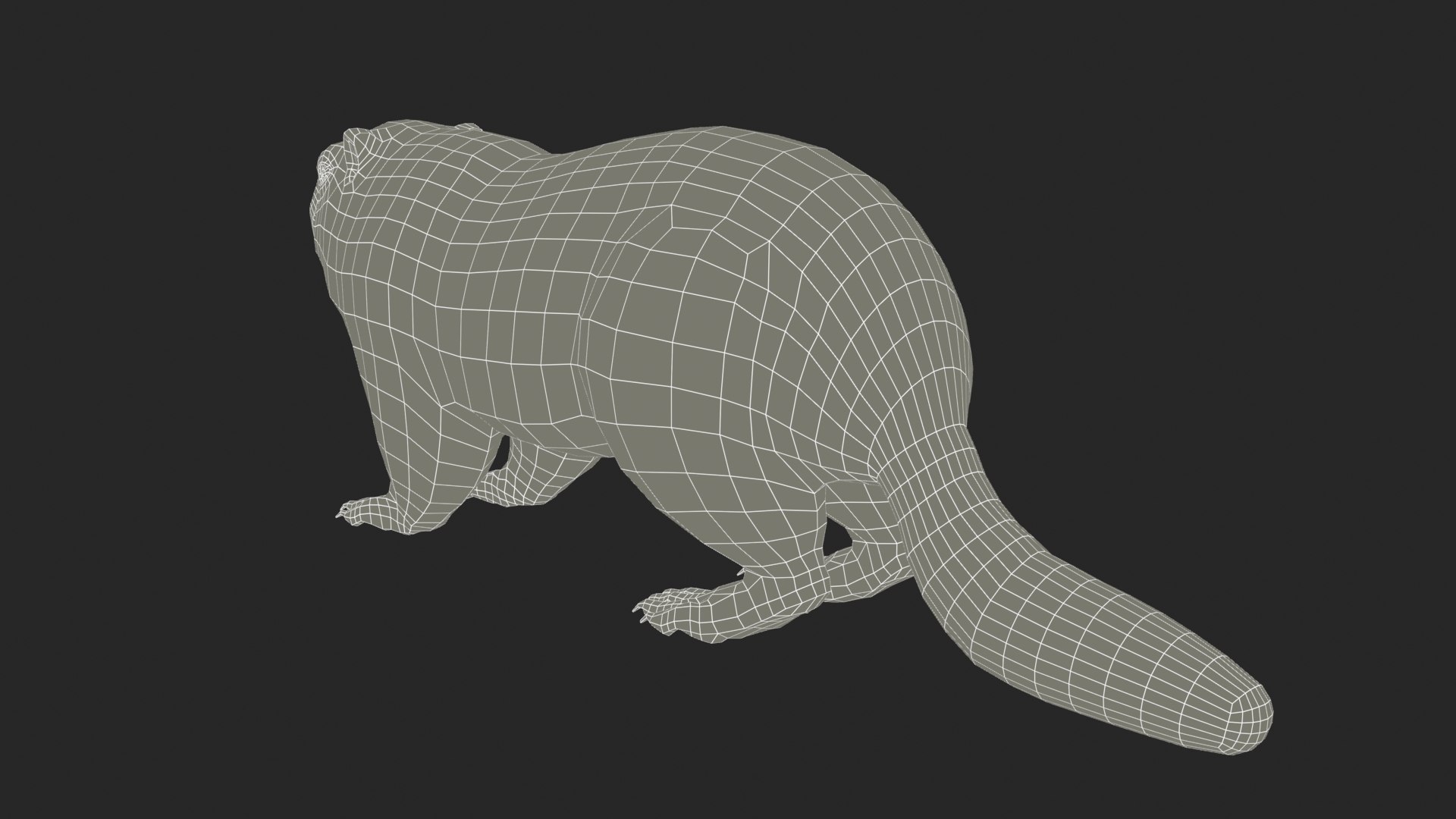 3D Model Marmot - TurboSquid 1657346