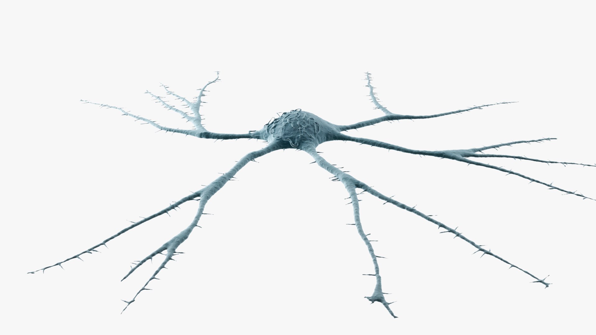 3D Neuron - TurboSquid 2229272