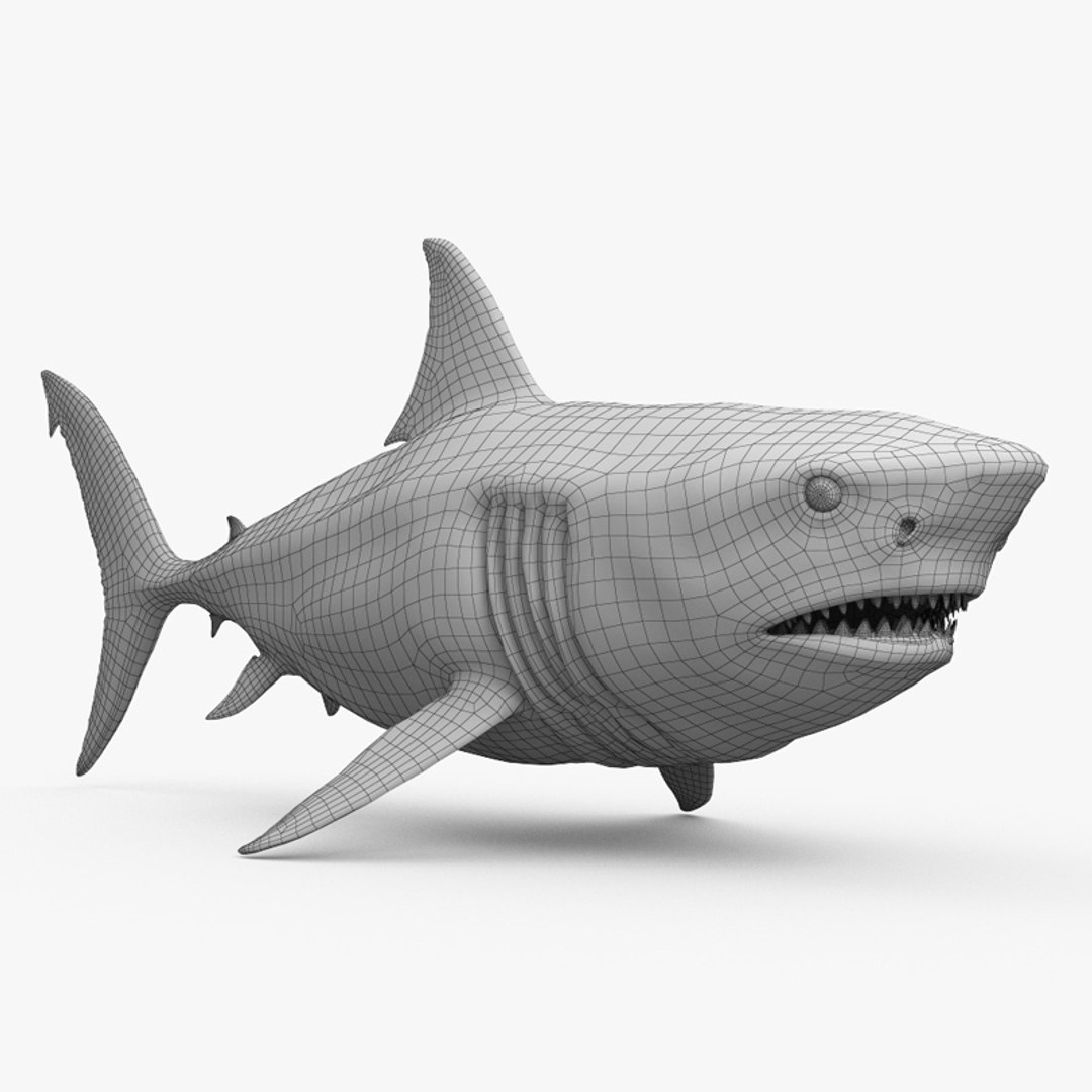 3D Megalodon HD - TurboSquid 1725846
