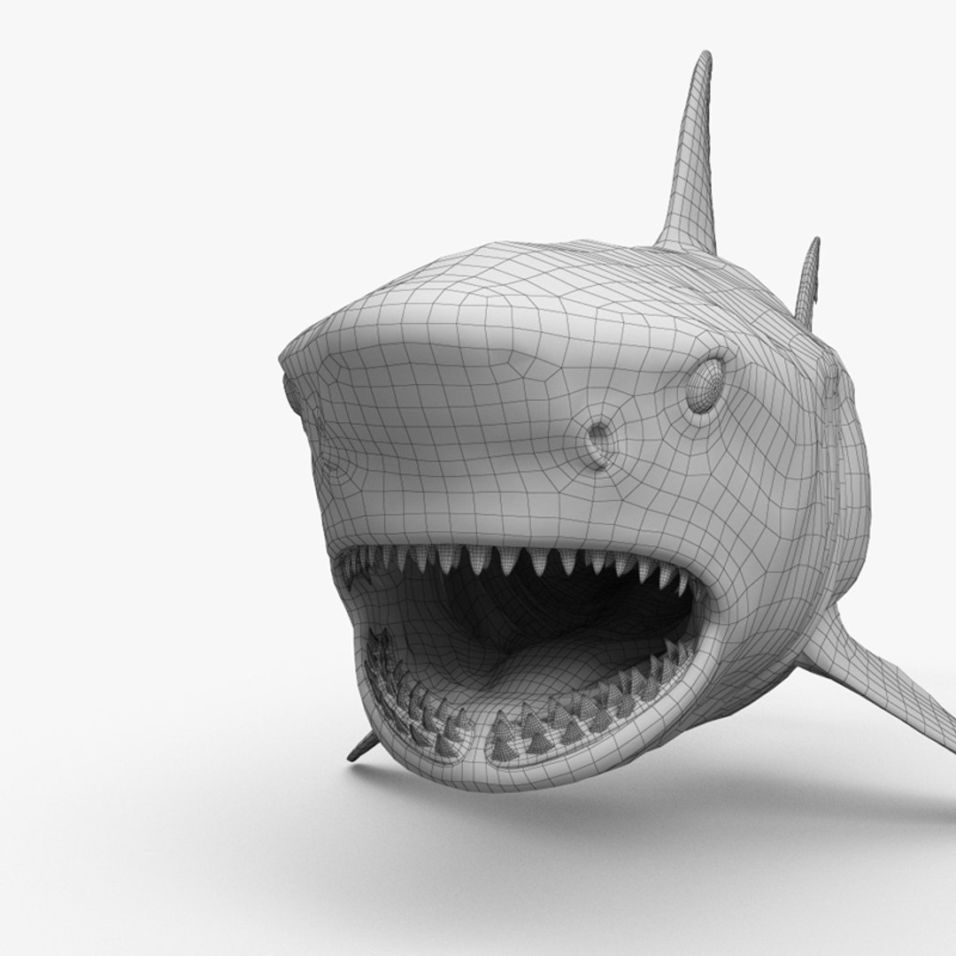 3D Megalodon HD - TurboSquid 1725846
