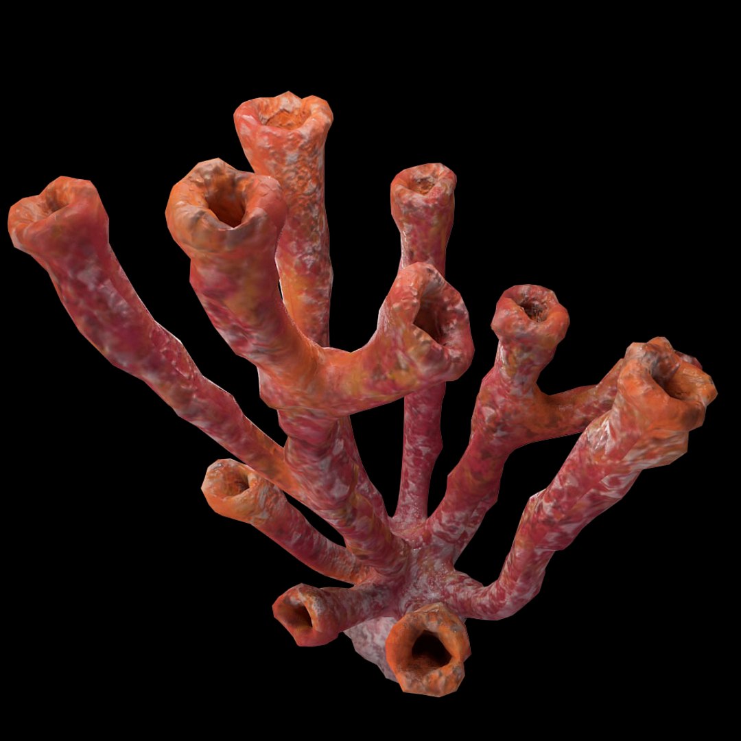 Coral Tube 3d Model