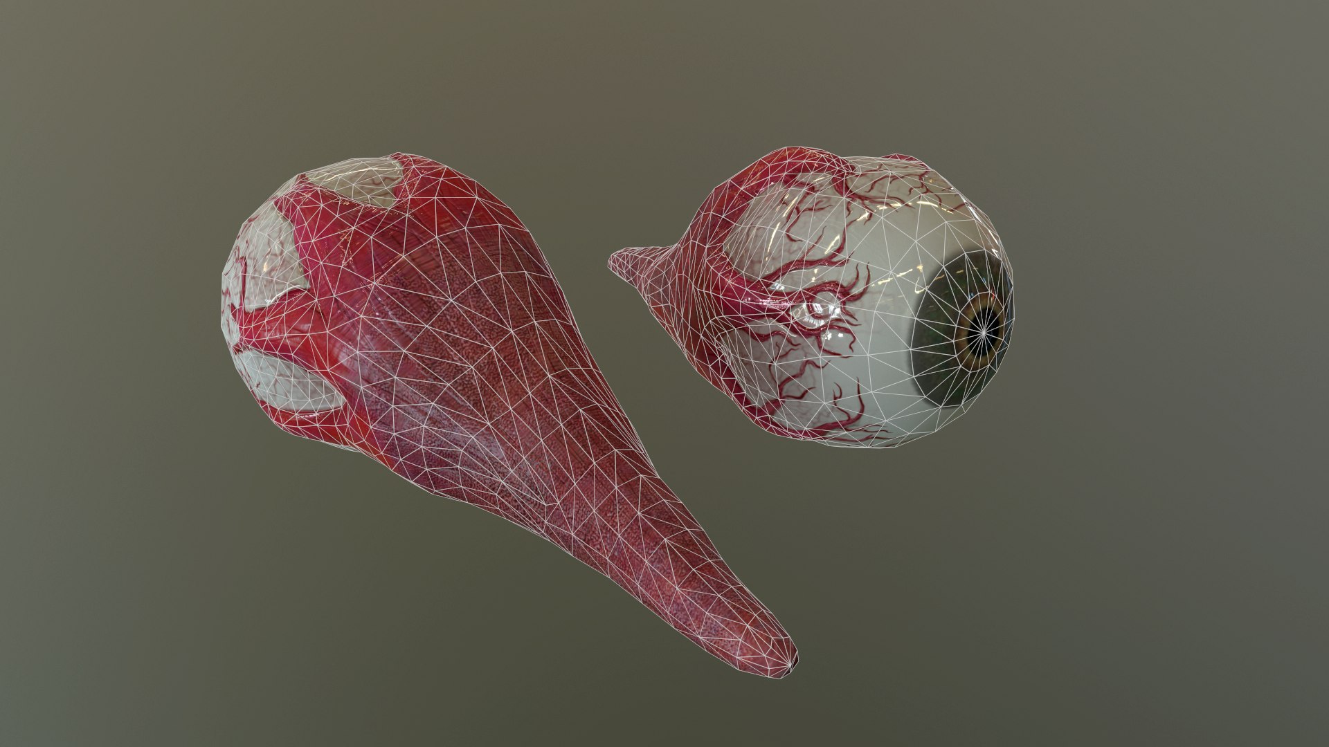 3D Model Human Eye - TurboSquid 1374079