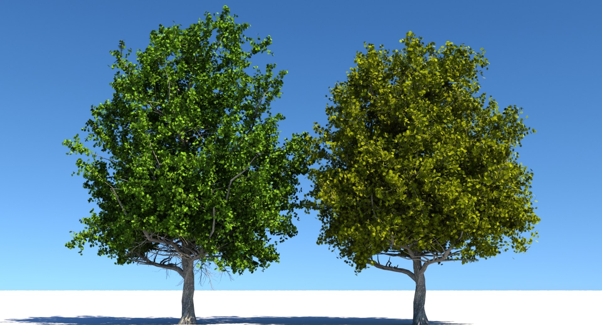 3D Generic Trees Model - TurboSquid 1379117