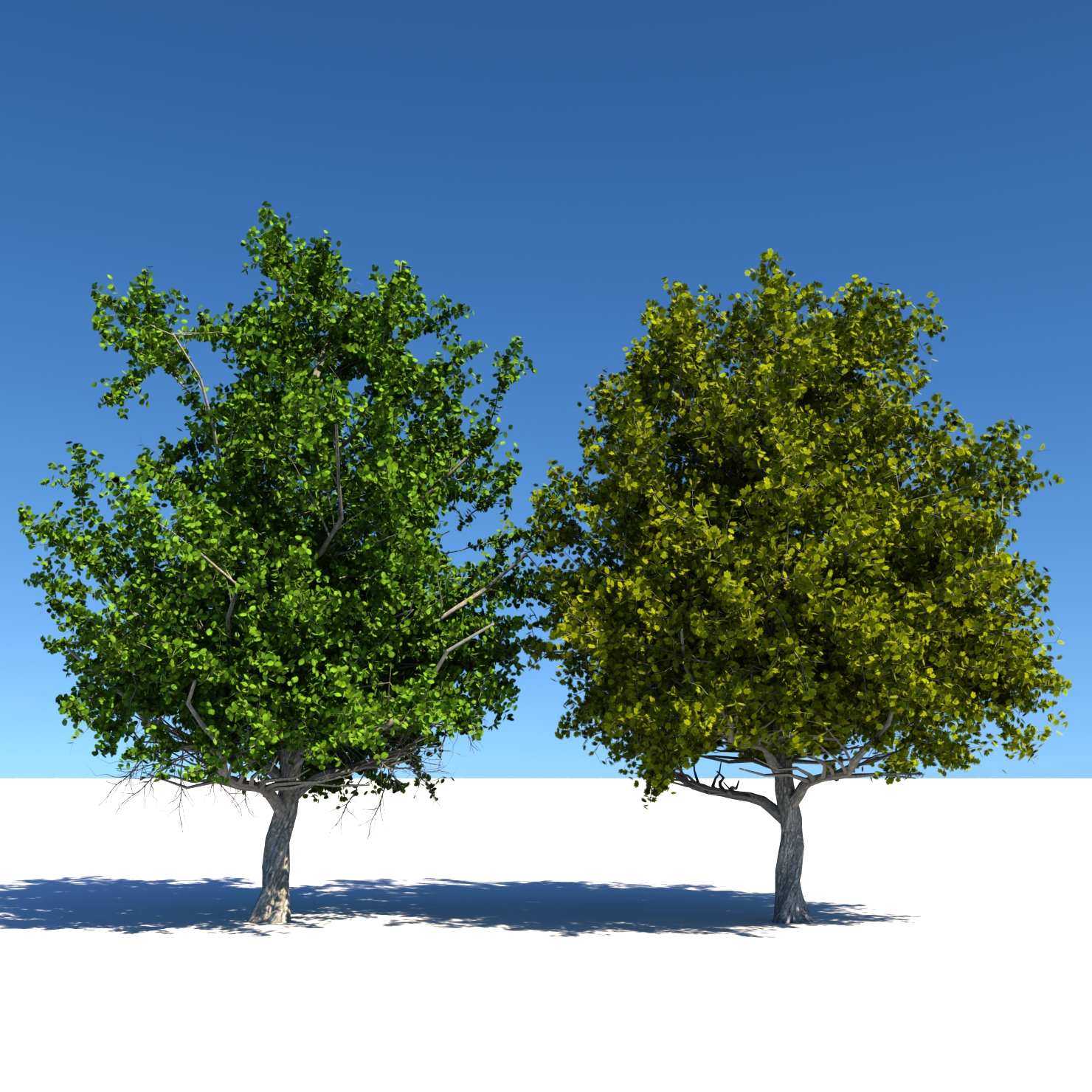 3D generic trees model - TurboSquid 1379117