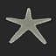 3dsmax Royal Starfish Astropecten Articulatus