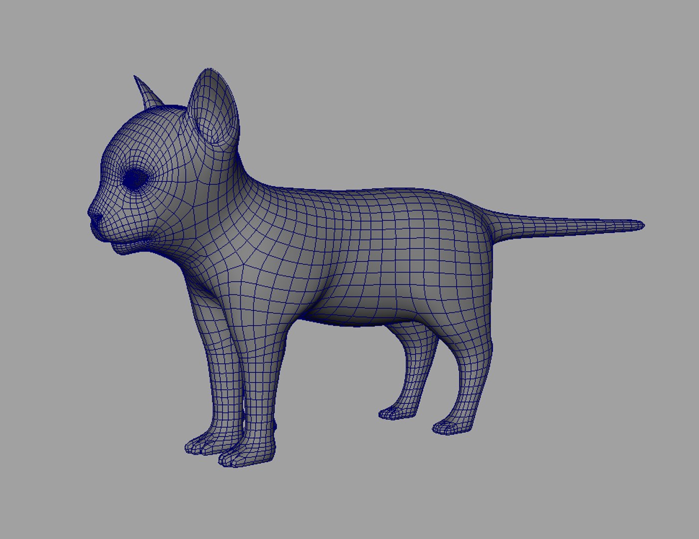 Kitten Model - TurboSquid 1391699