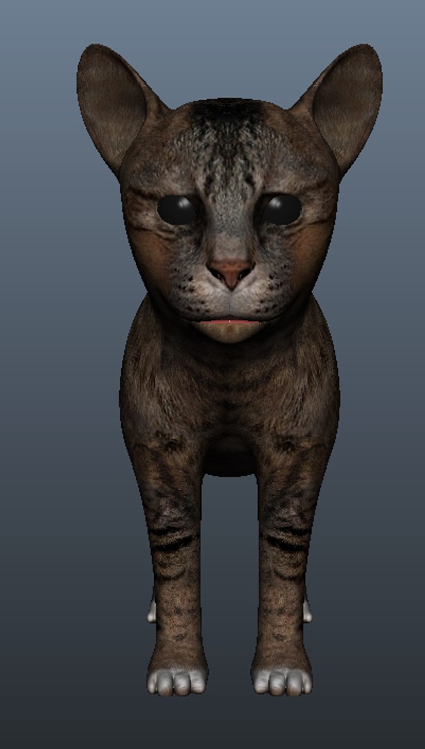 Kitten Model - TurboSquid 1391699