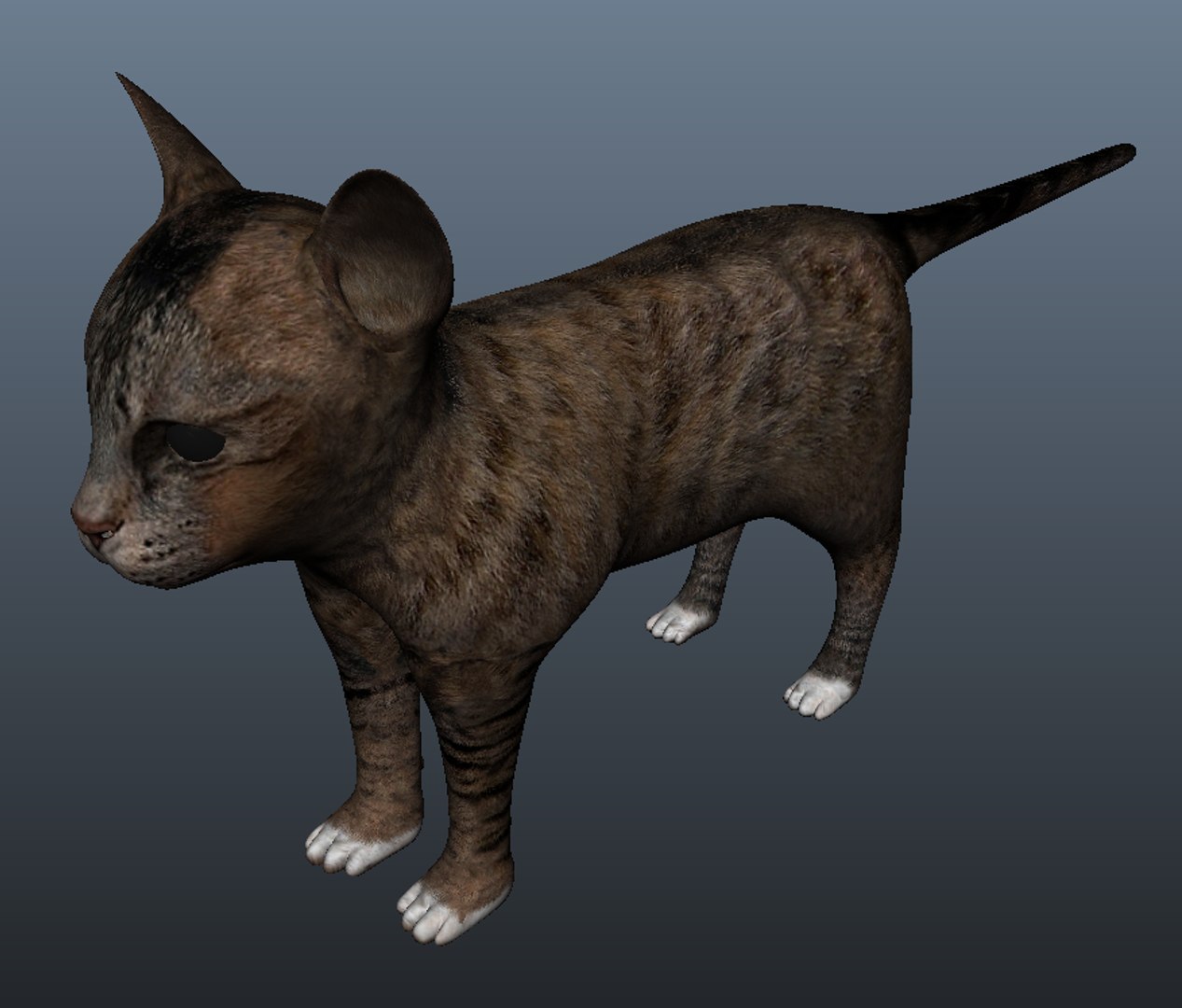 Kitten Model - TurboSquid 1391699