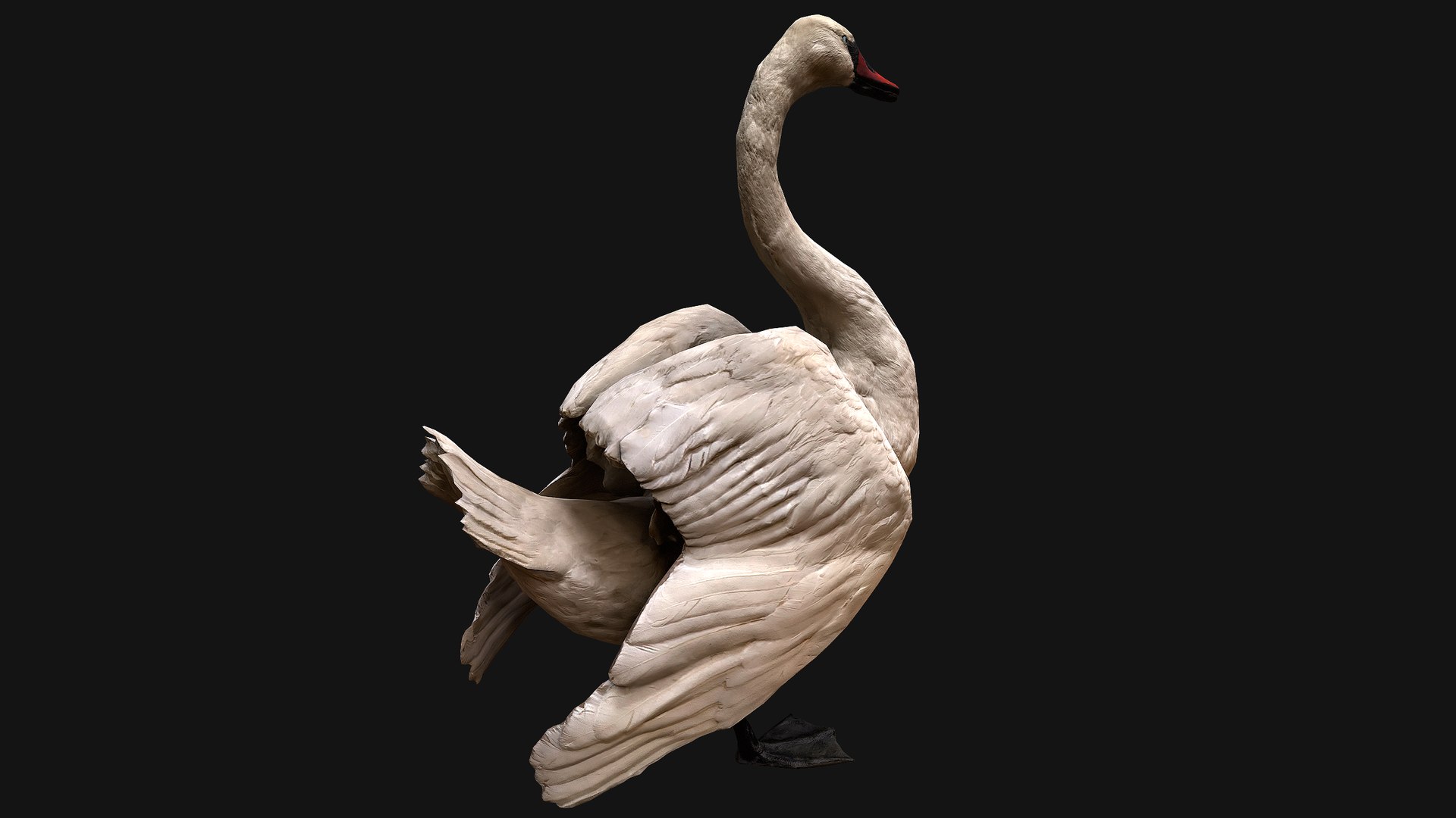 3D Swan Bird - TurboSquid 2083898
