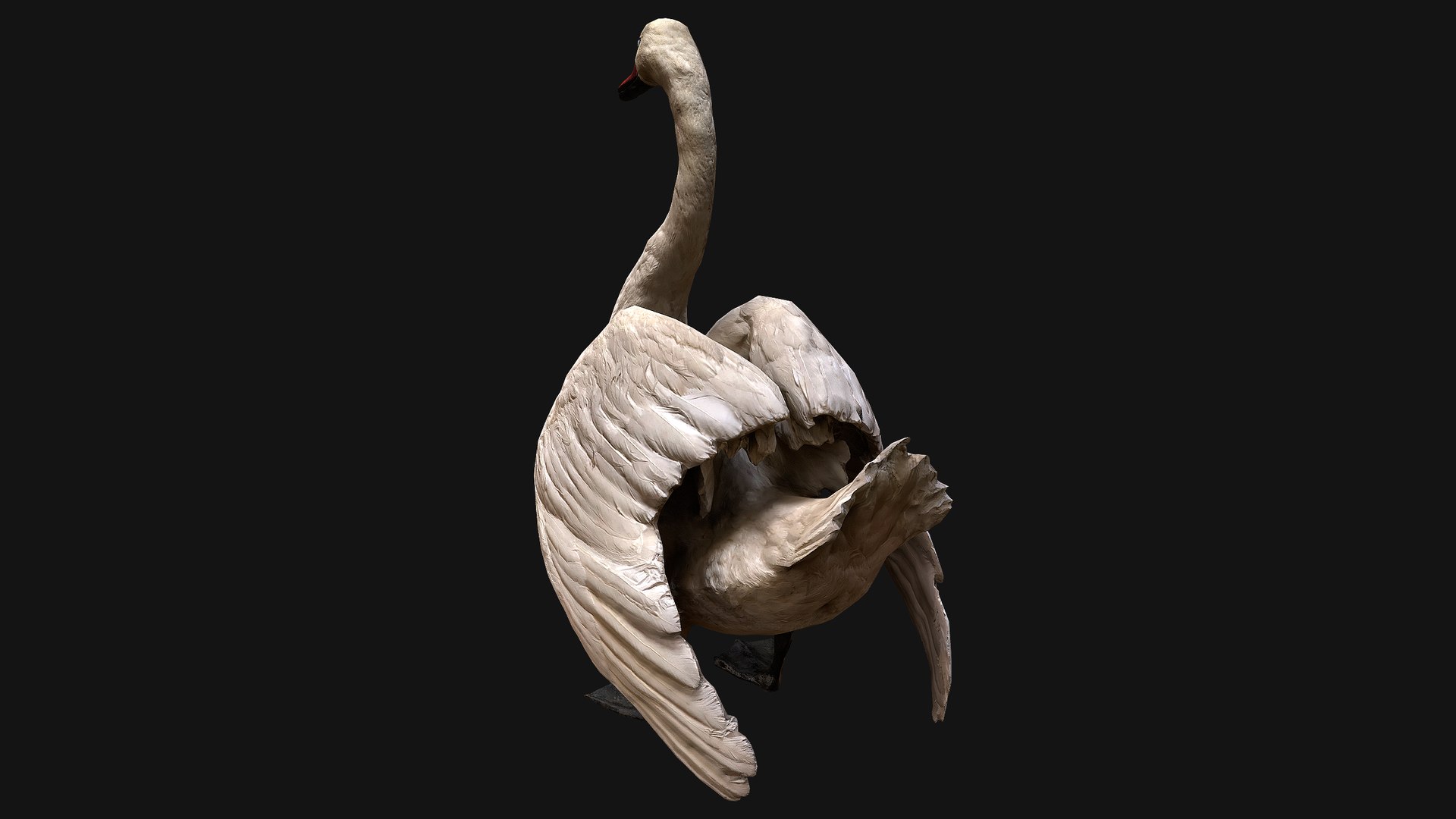 3D Swan Bird - TurboSquid 2083898