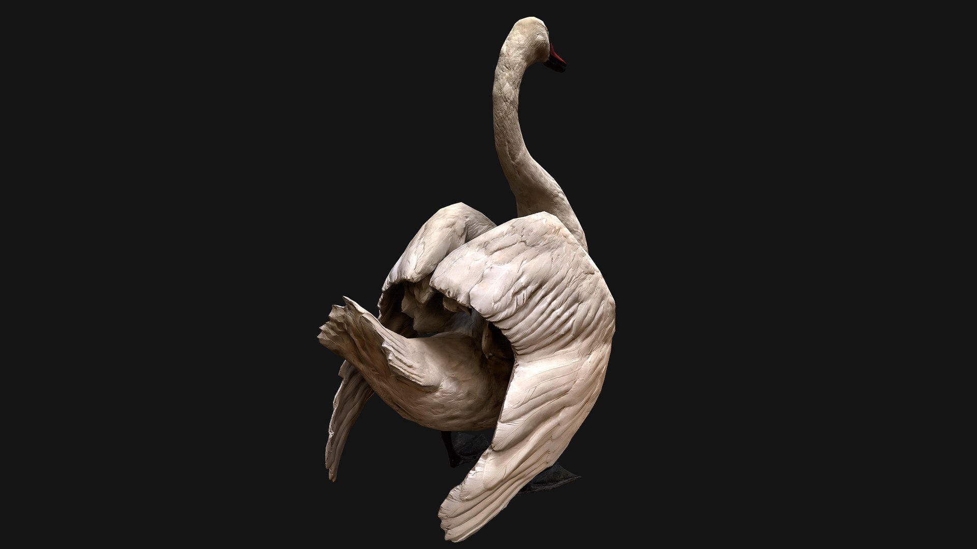 3D Swan Bird - TurboSquid 2083898