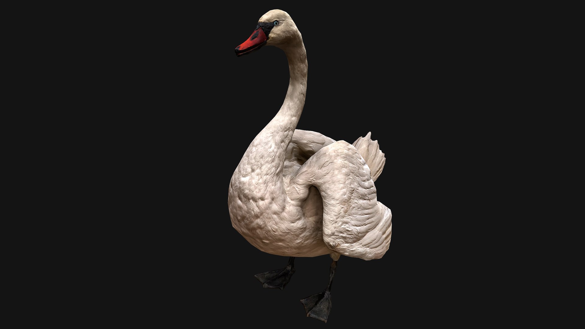 3D Swan Bird - TurboSquid 2083898