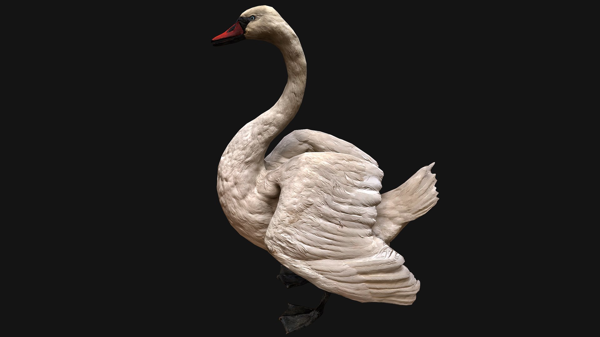 3D Swan Bird - TurboSquid 2083898
