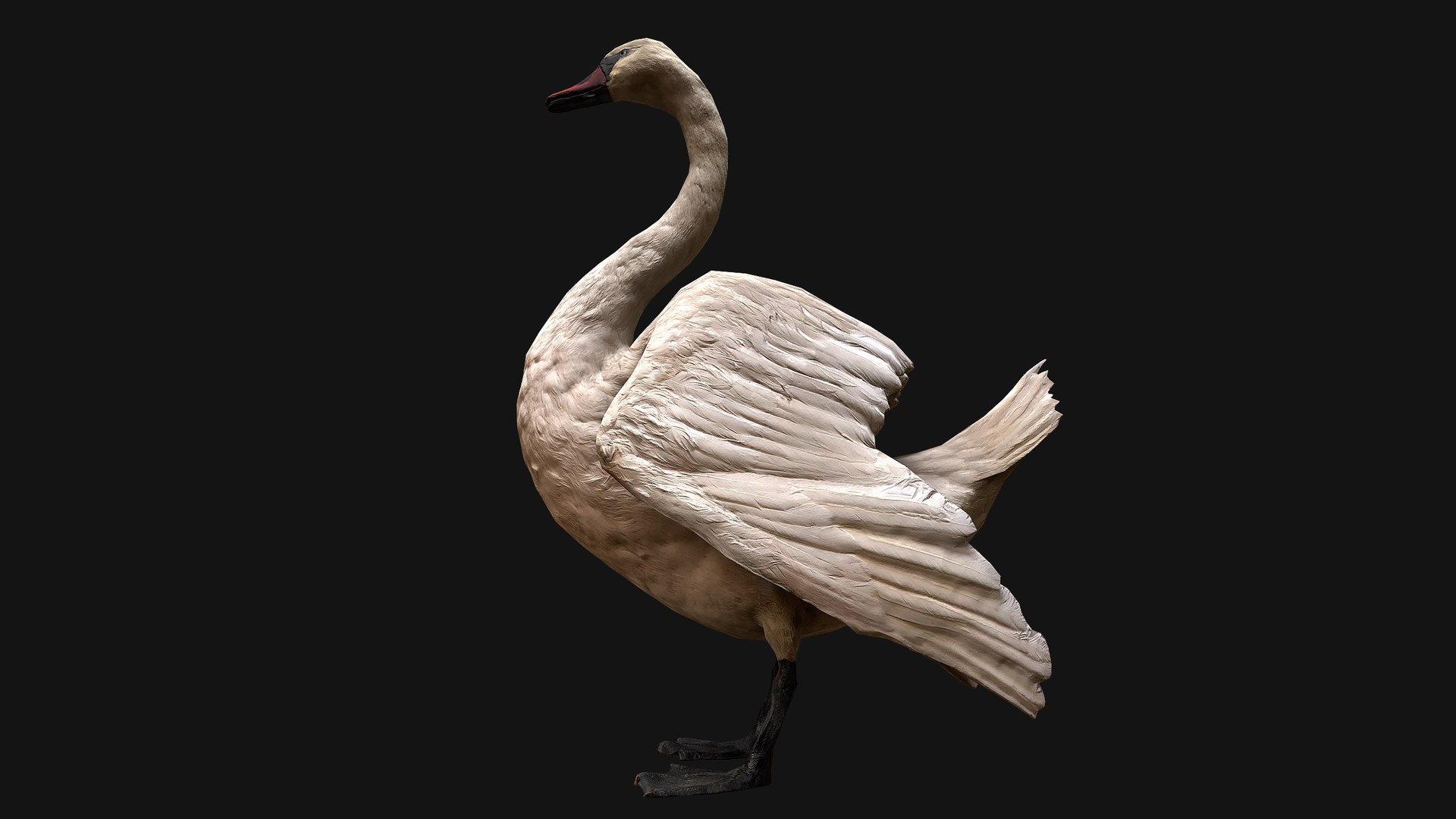 3D Swan Bird - TurboSquid 2083898