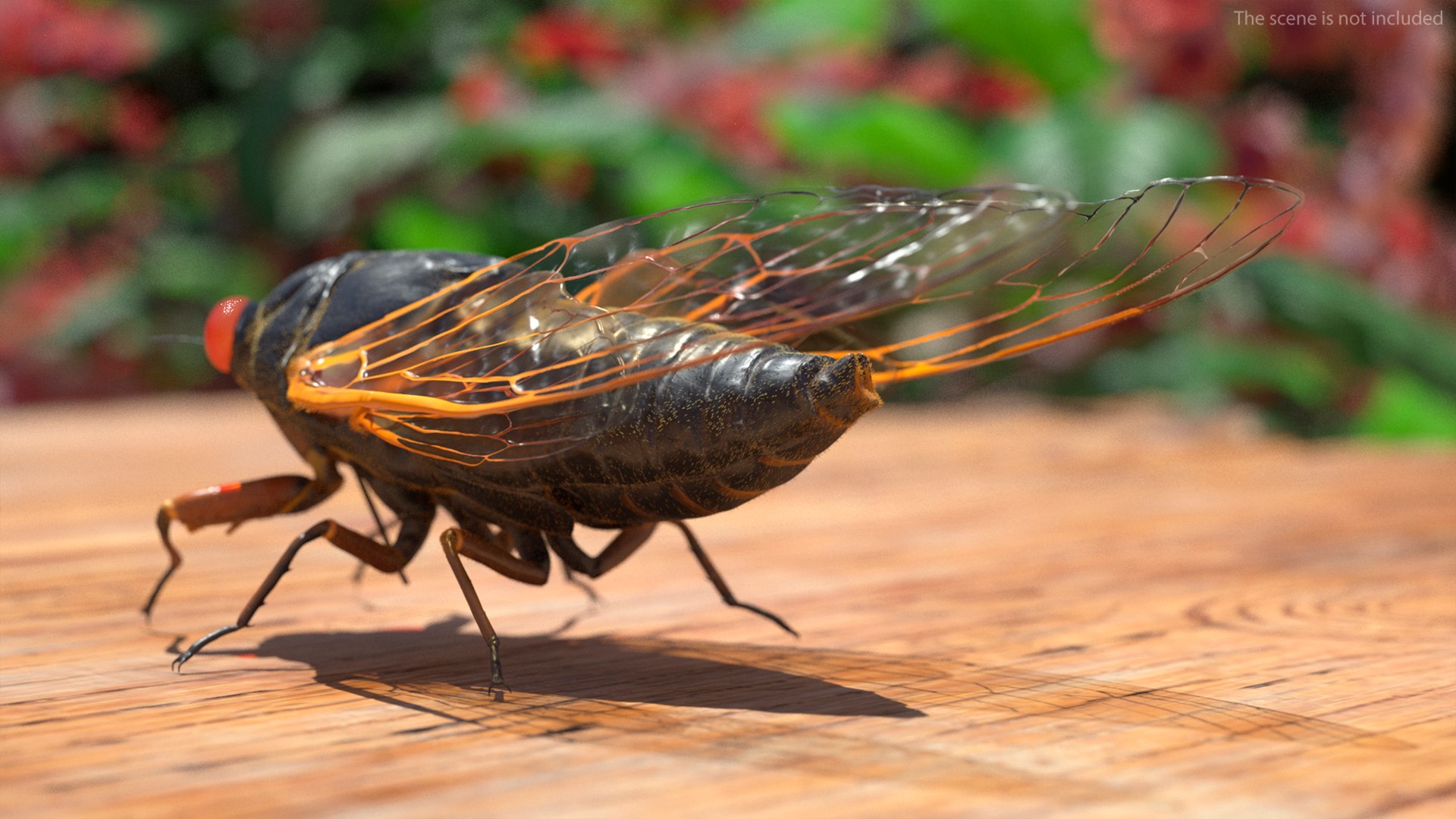 Pharaoh Cicada Pose Calm Fur 3D - TurboSquid 2051727