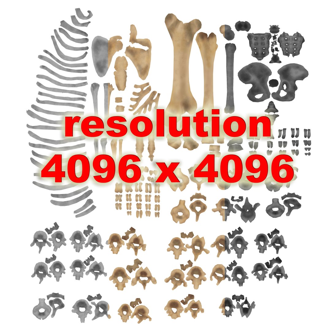 dugm01 human skeleton 3d 3ds