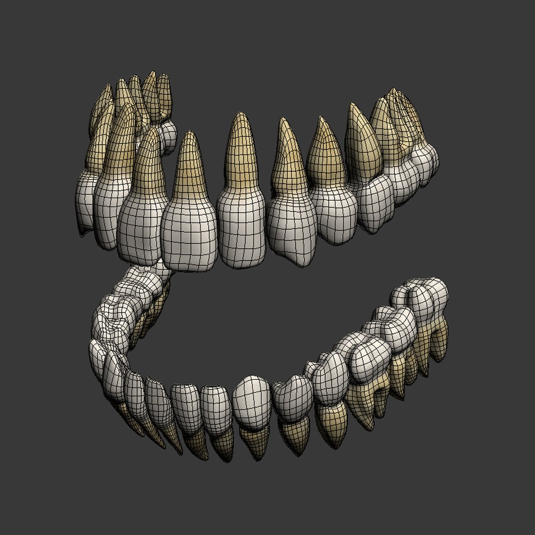 dugm01 human skeleton 3d 3ds