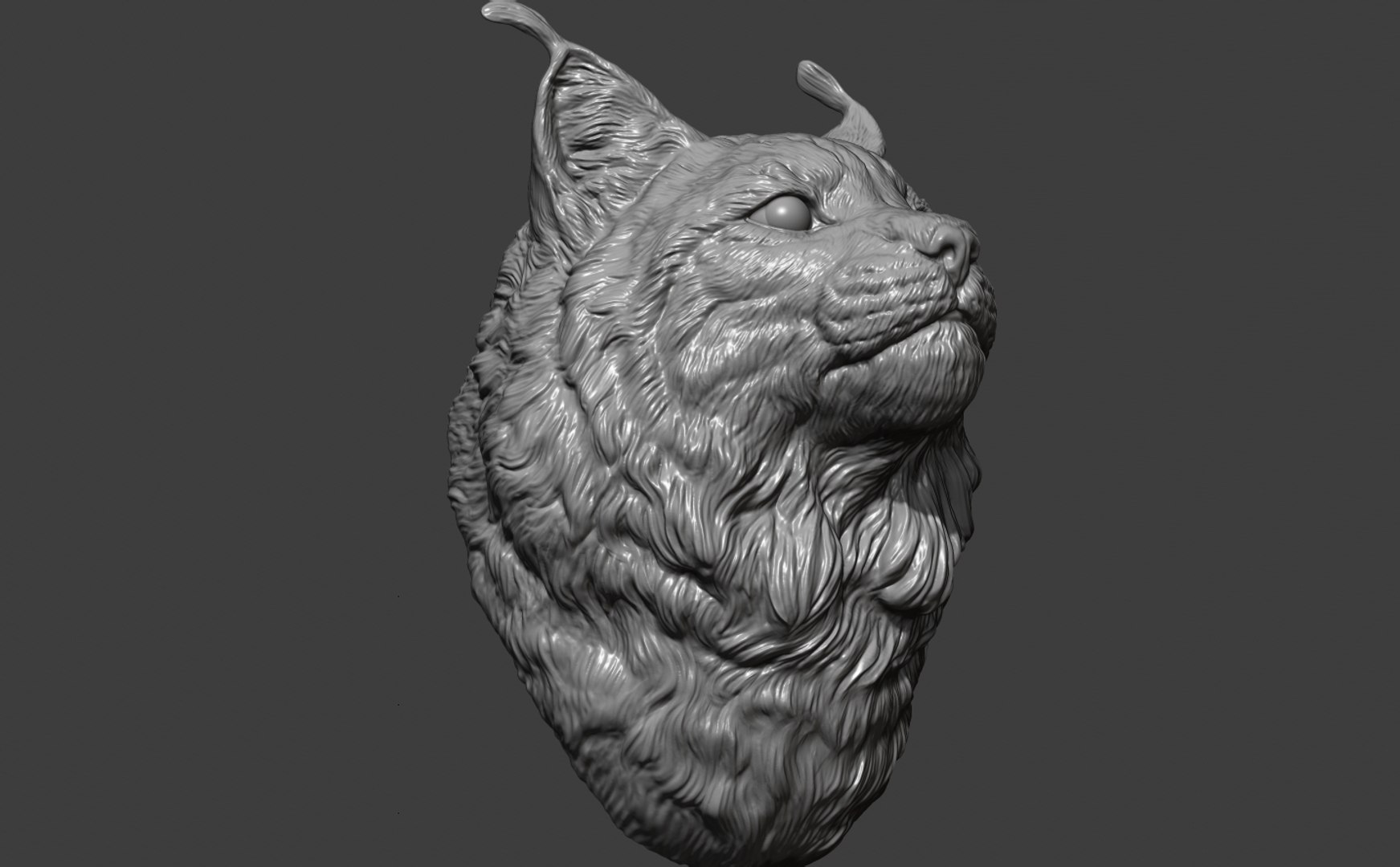 3D Lynx Head Model - TurboSquid 1773920