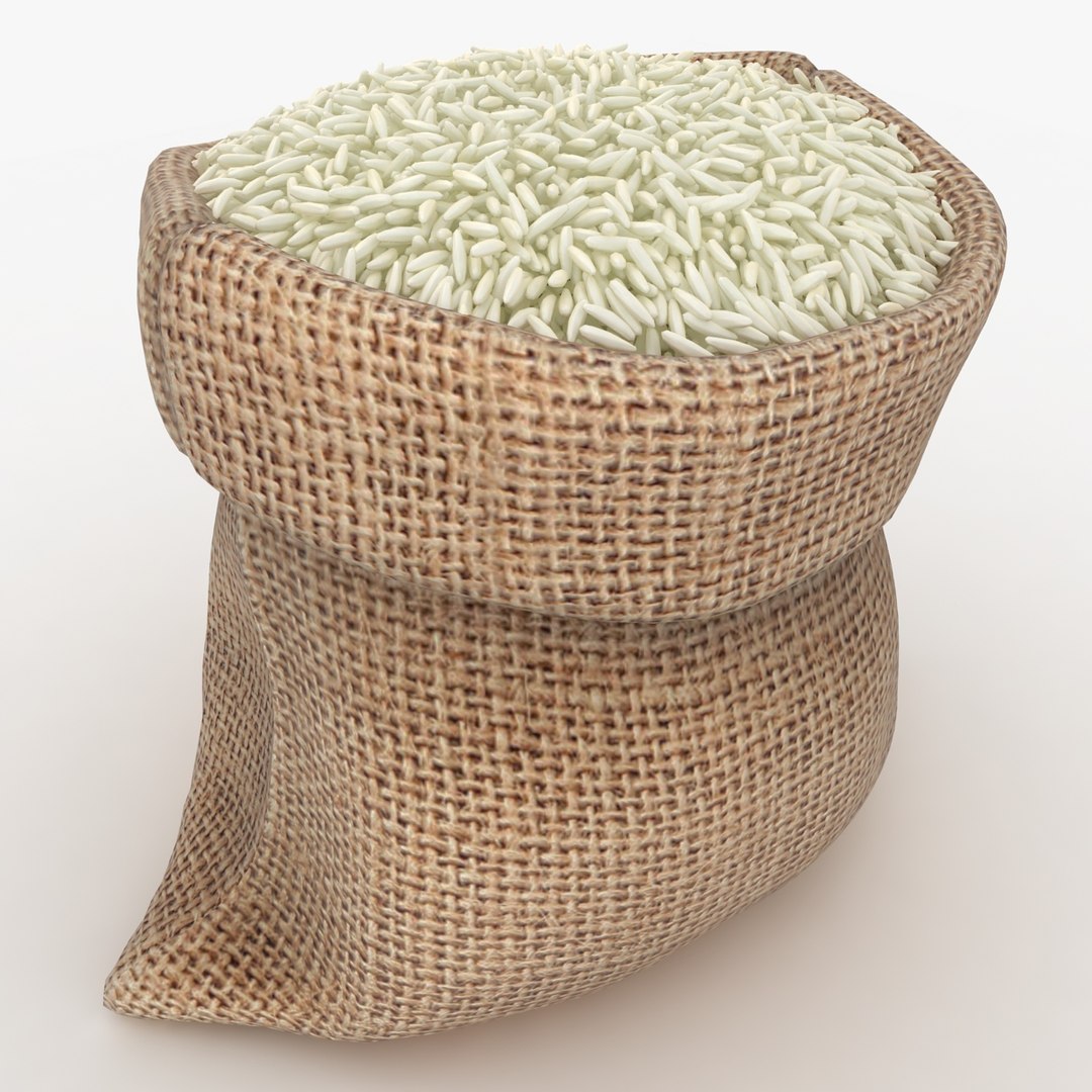 Realistic Sack Rice 3D Model - TurboSquid 1202852