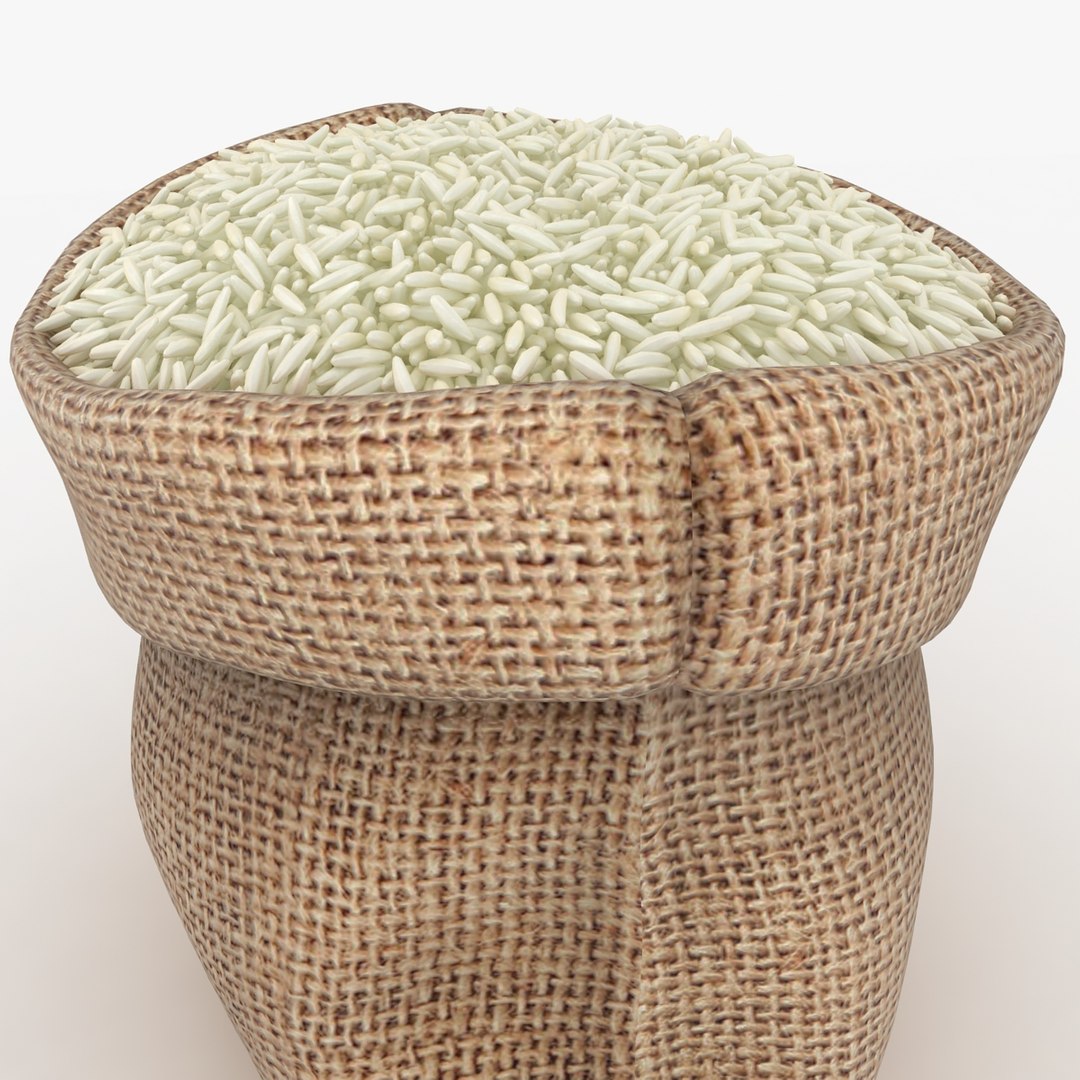 Realistic Sack Rice 3D Model - TurboSquid 1202852