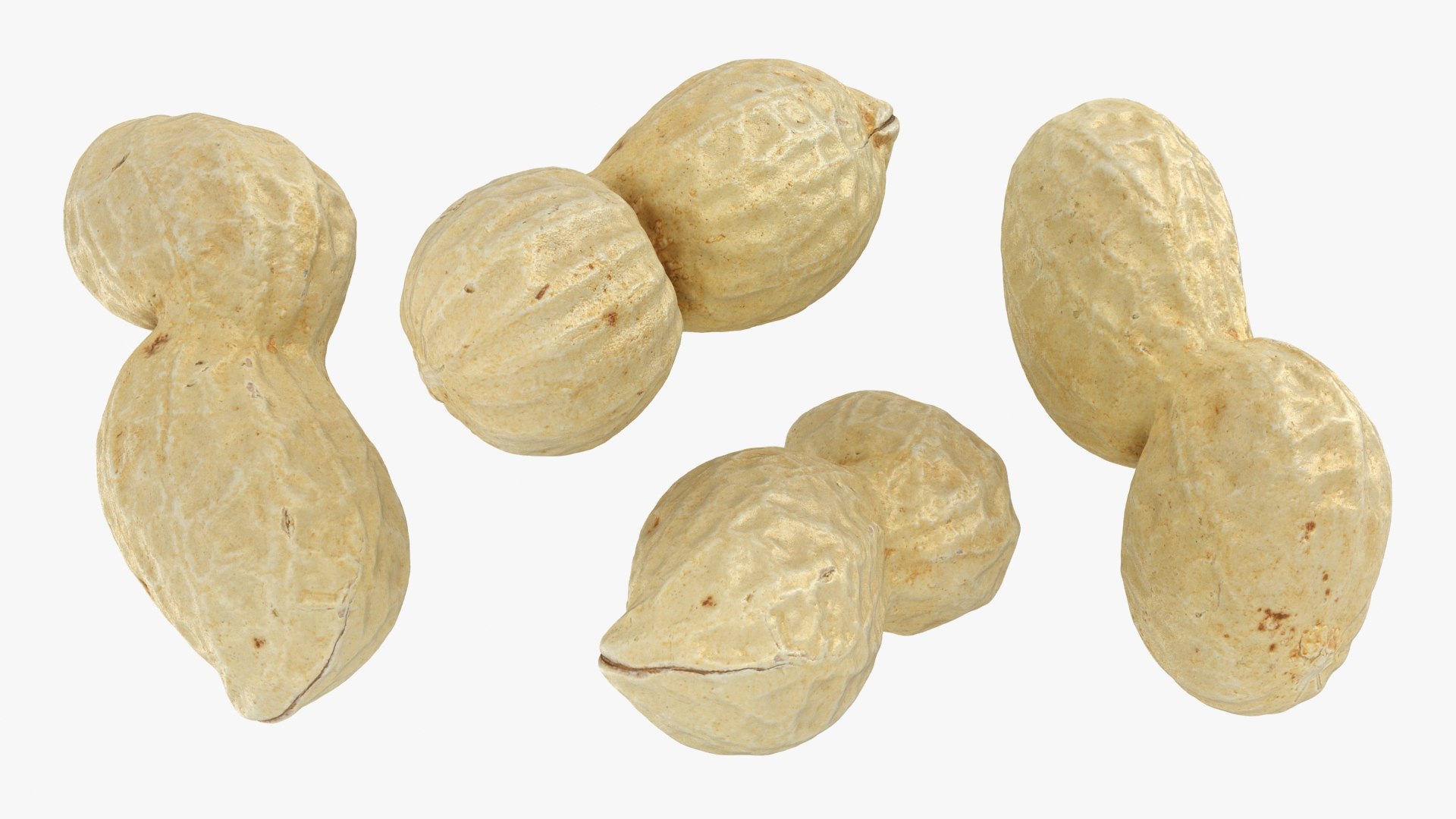 3D Model Peanut Shell Collection - TurboSquid 1960843