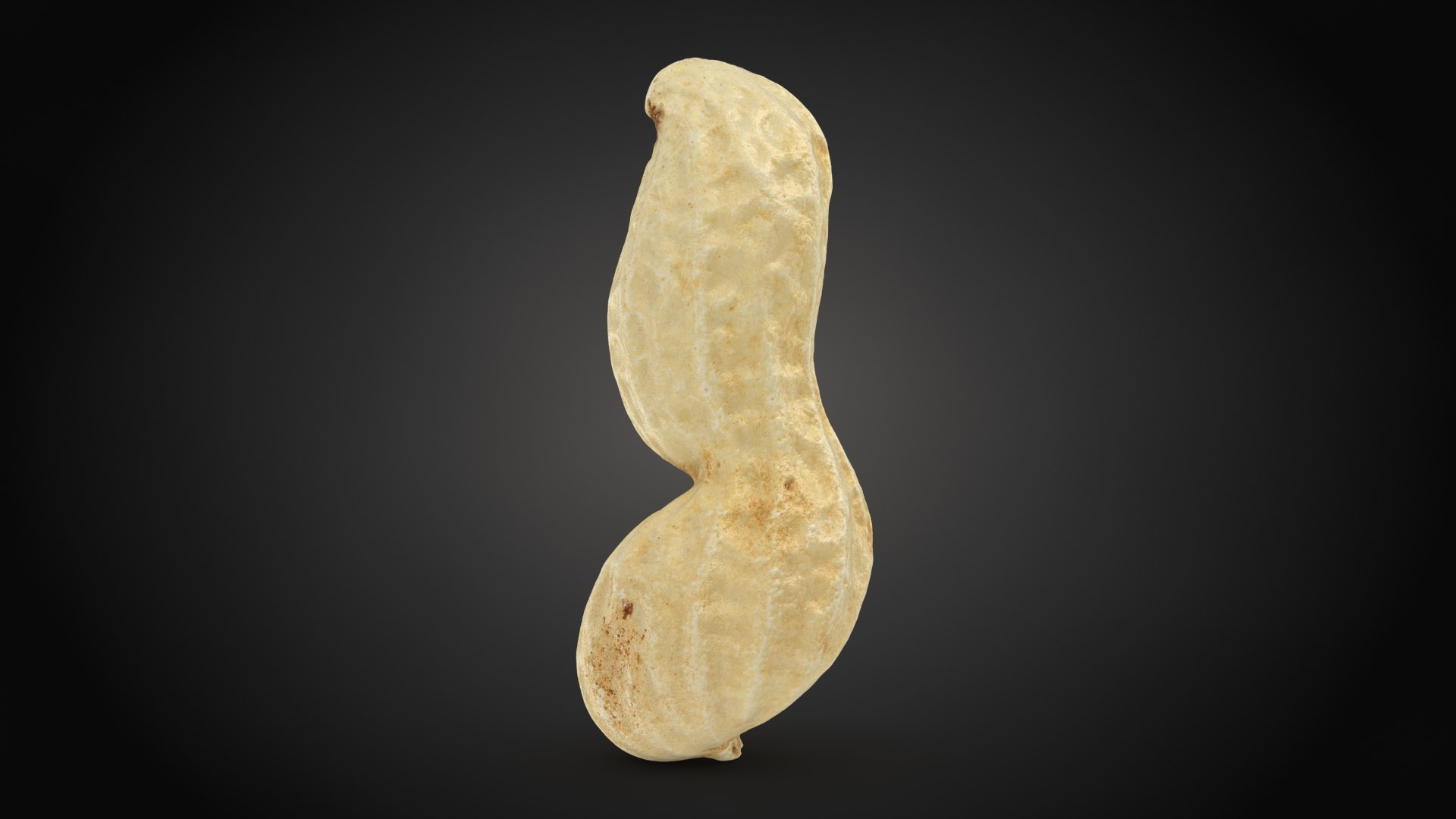 3D Model Peanut Shell Collection - TurboSquid 1960843