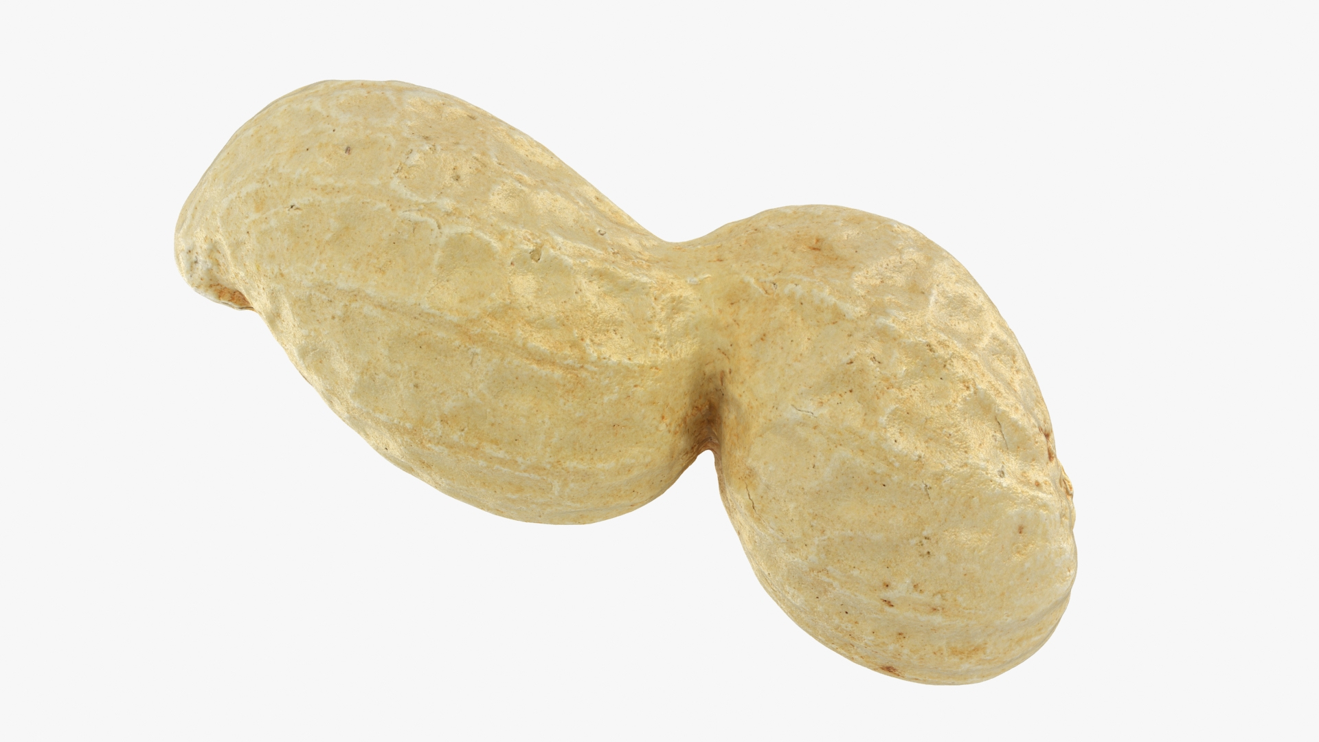 3D Model Peanut Shell Collection - TurboSquid 1960843