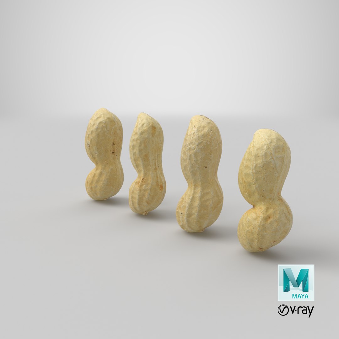 3D Model Peanut Shell Collection - TurboSquid 1960843