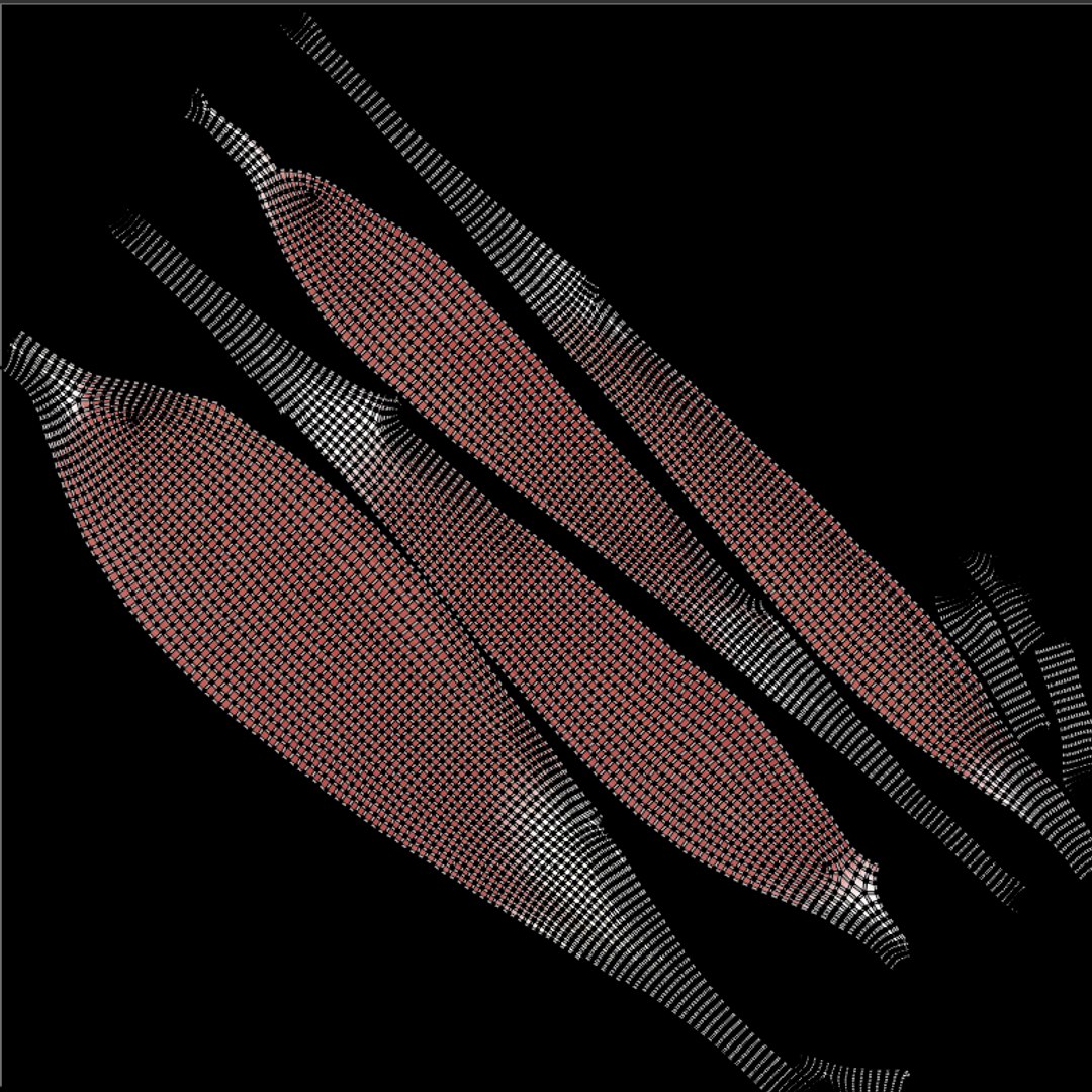 Shoulder Anatomy Rotator Cuff 3D - TurboSquid 2357000