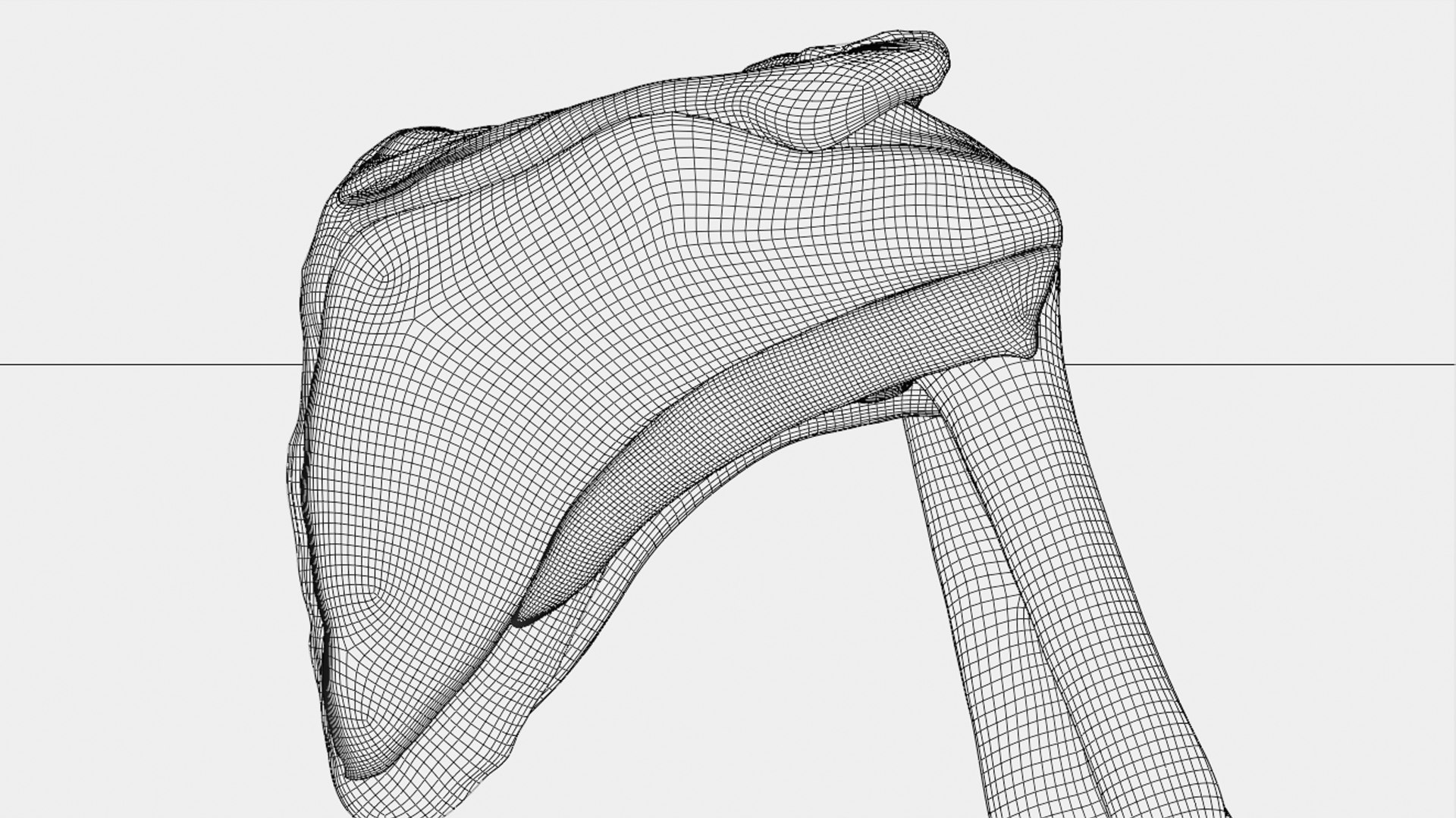 Shoulder Anatomy Rotator Cuff 3D - TurboSquid 2357000