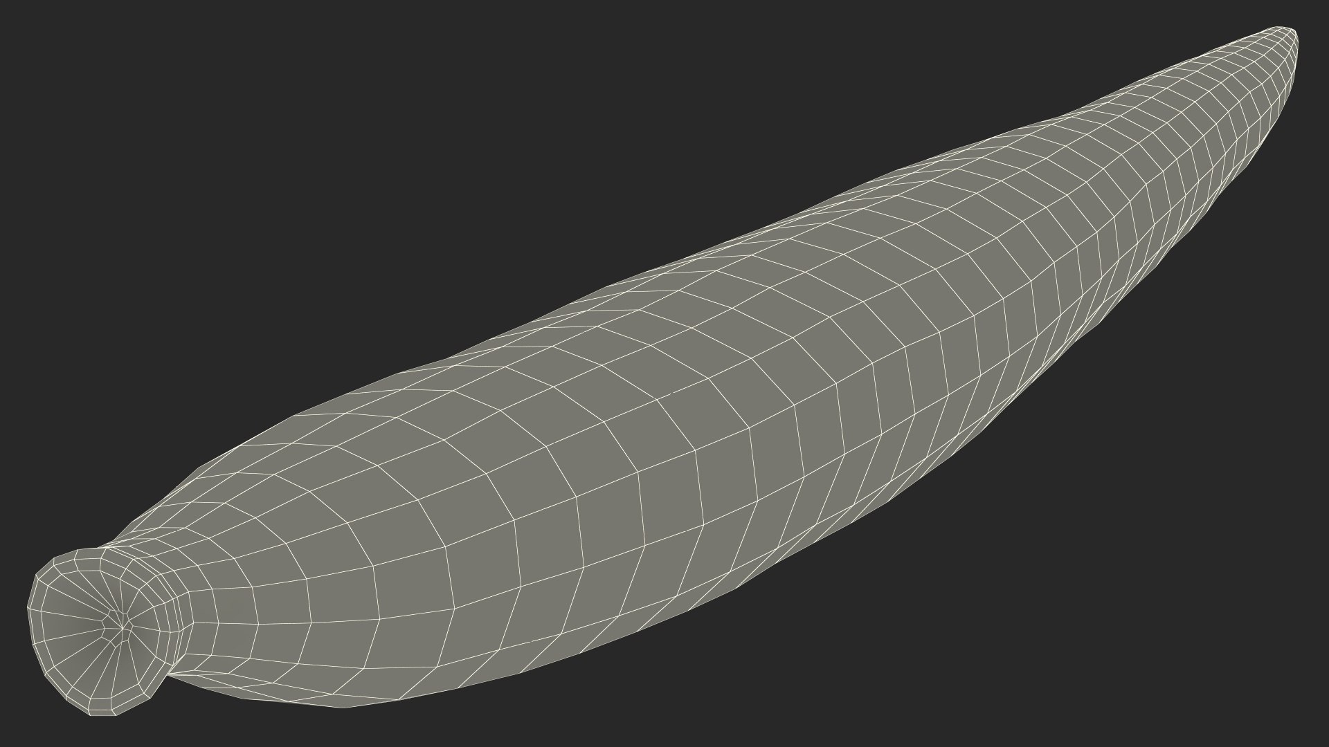 3D Medicinal Leech Model - TurboSquid 2092080