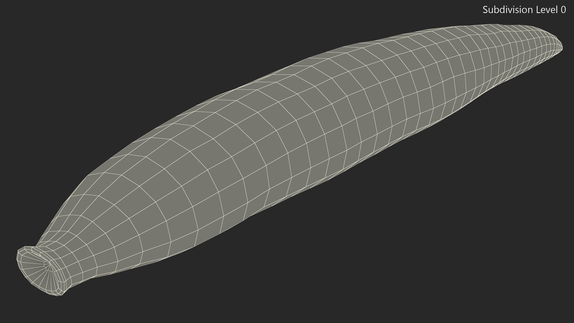 3D Medicinal Leech Model - TurboSquid 2092080