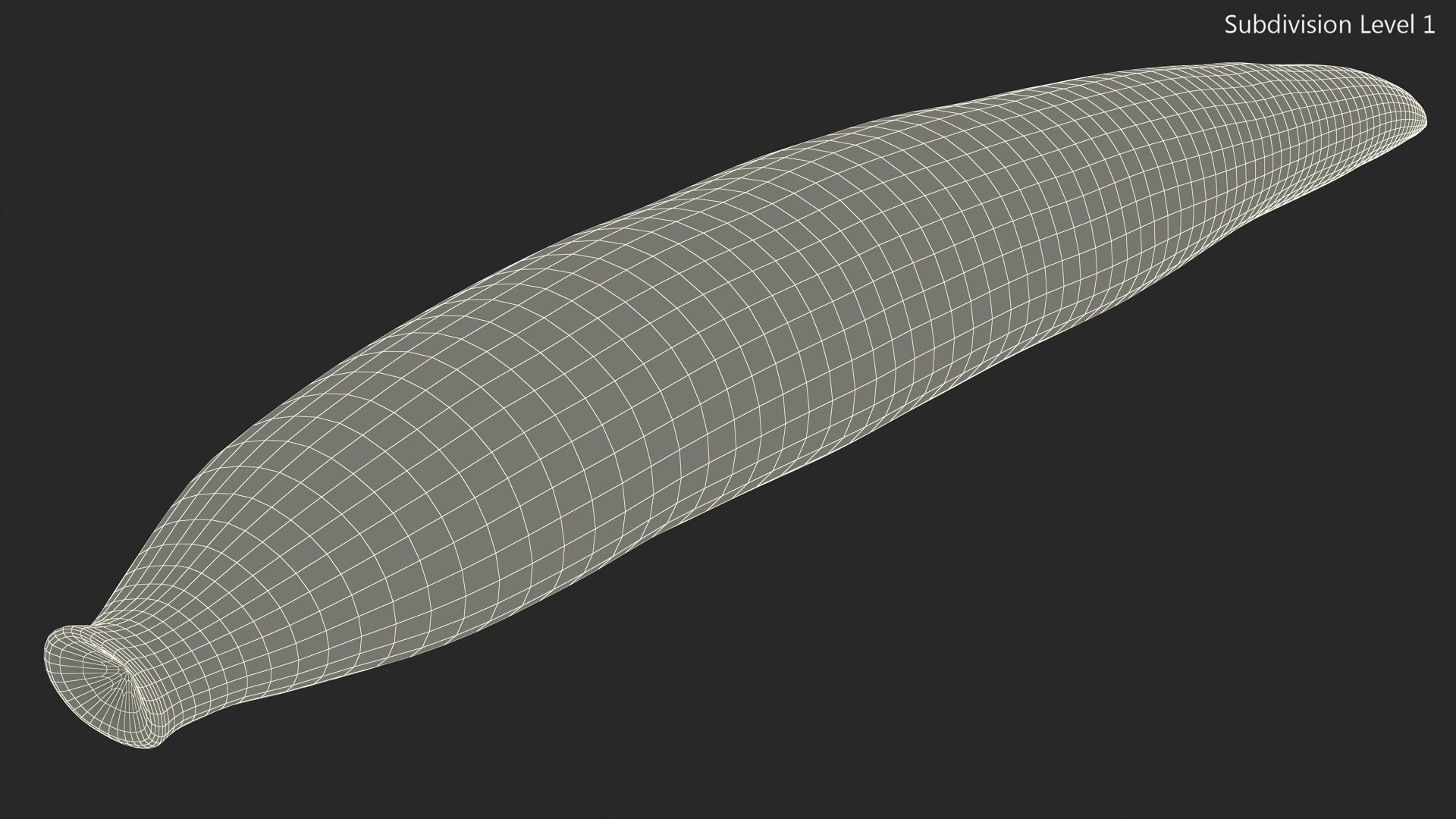 3D Medicinal Leech Model - TurboSquid 2092080