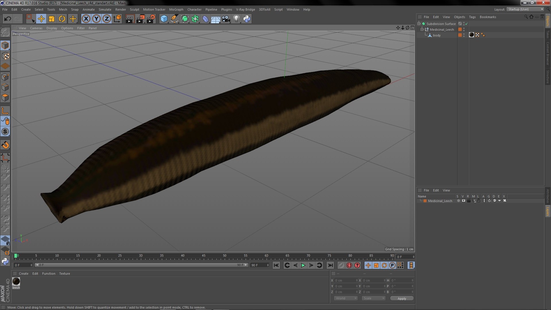 3D Medicinal Leech Model - TurboSquid 2092080