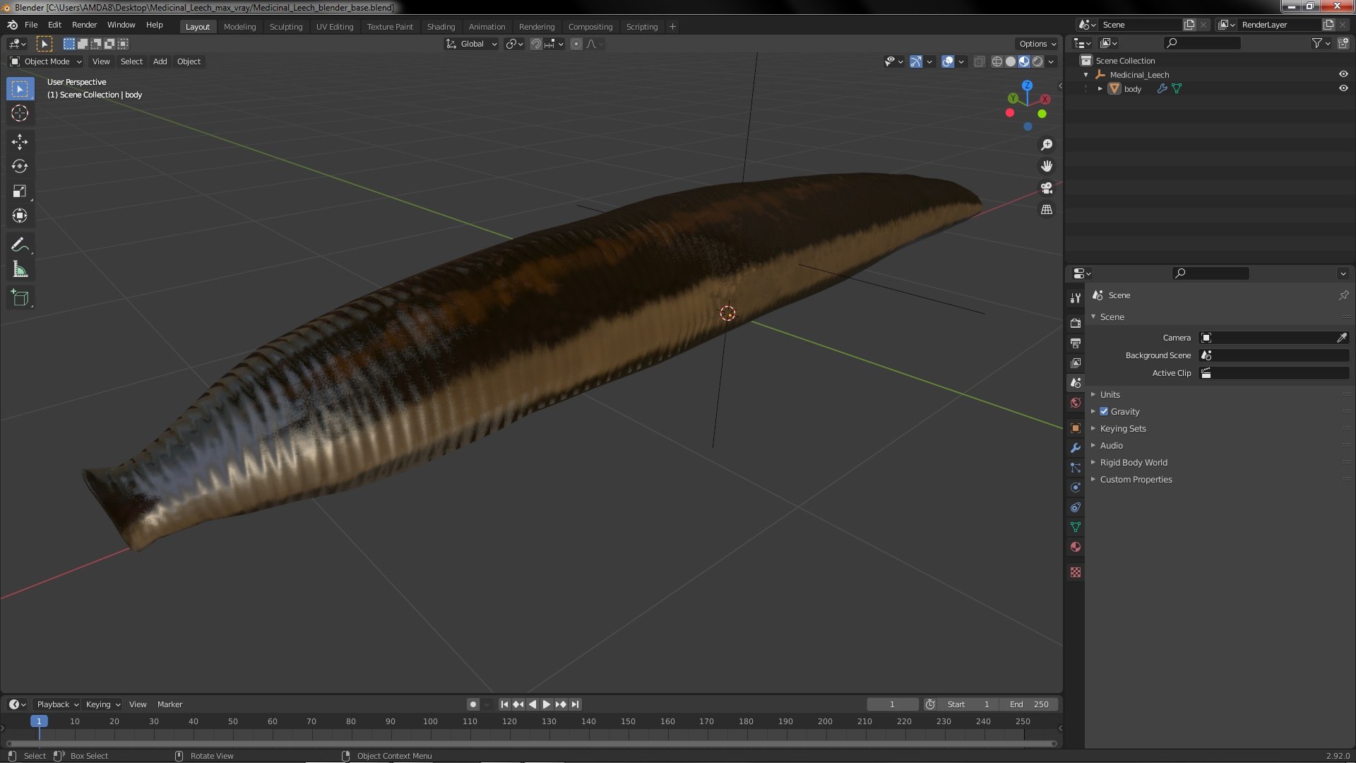 3D Medicinal Leech Model - TurboSquid 2092080