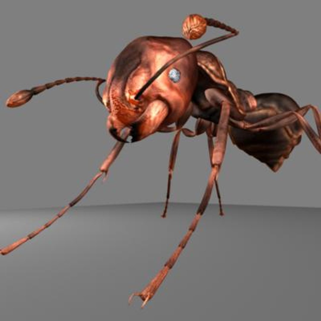 3d Ant