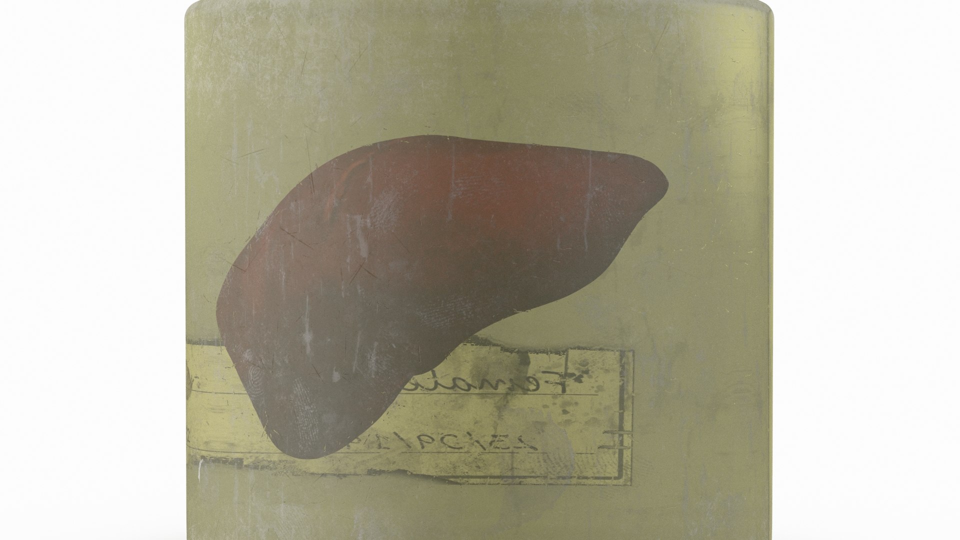 3D Human Liver Organ In A Old Jar Model - TurboSquid 2259006